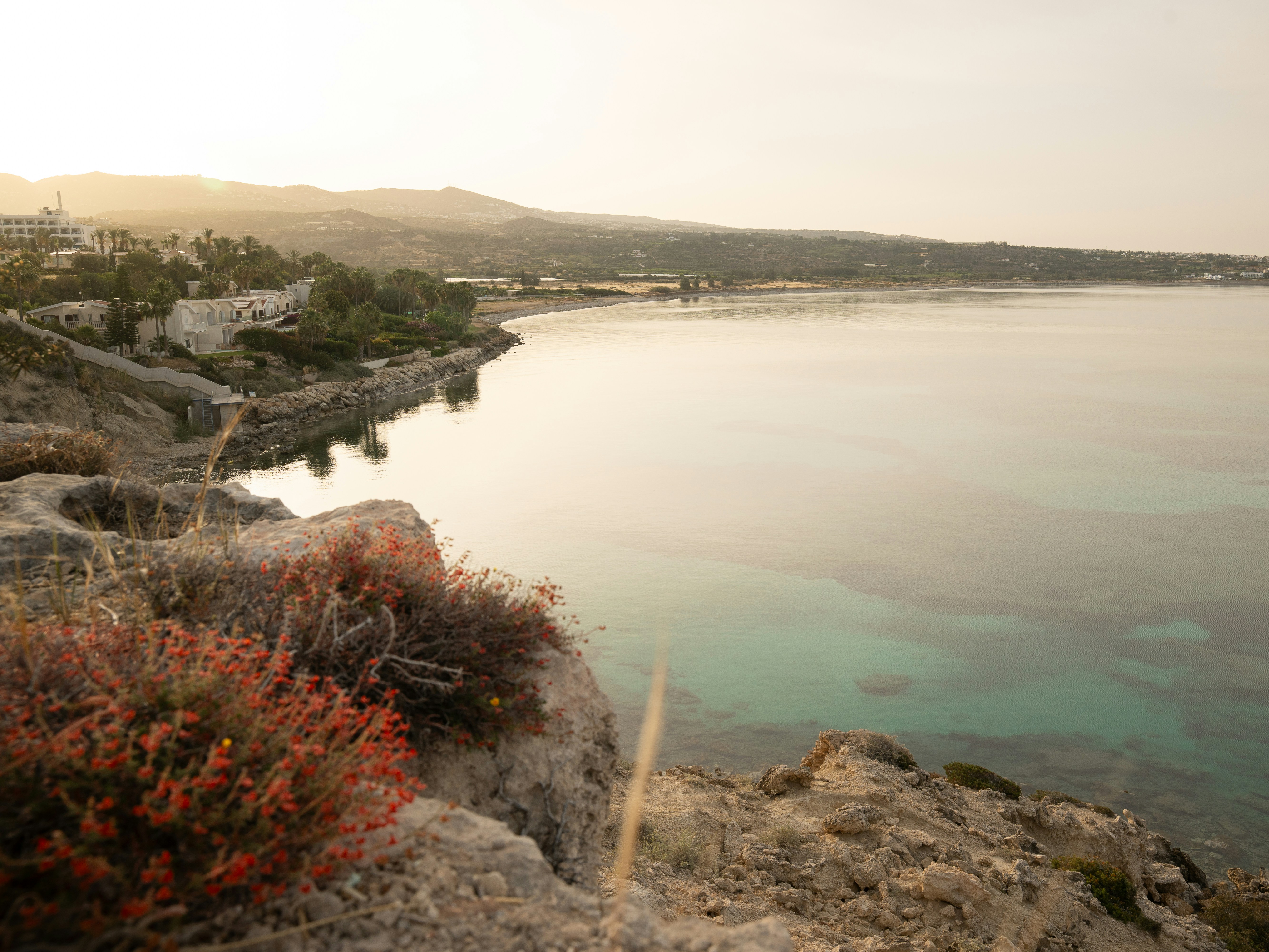 Photo by Elias Derksen with Sony Alpha 7 IV