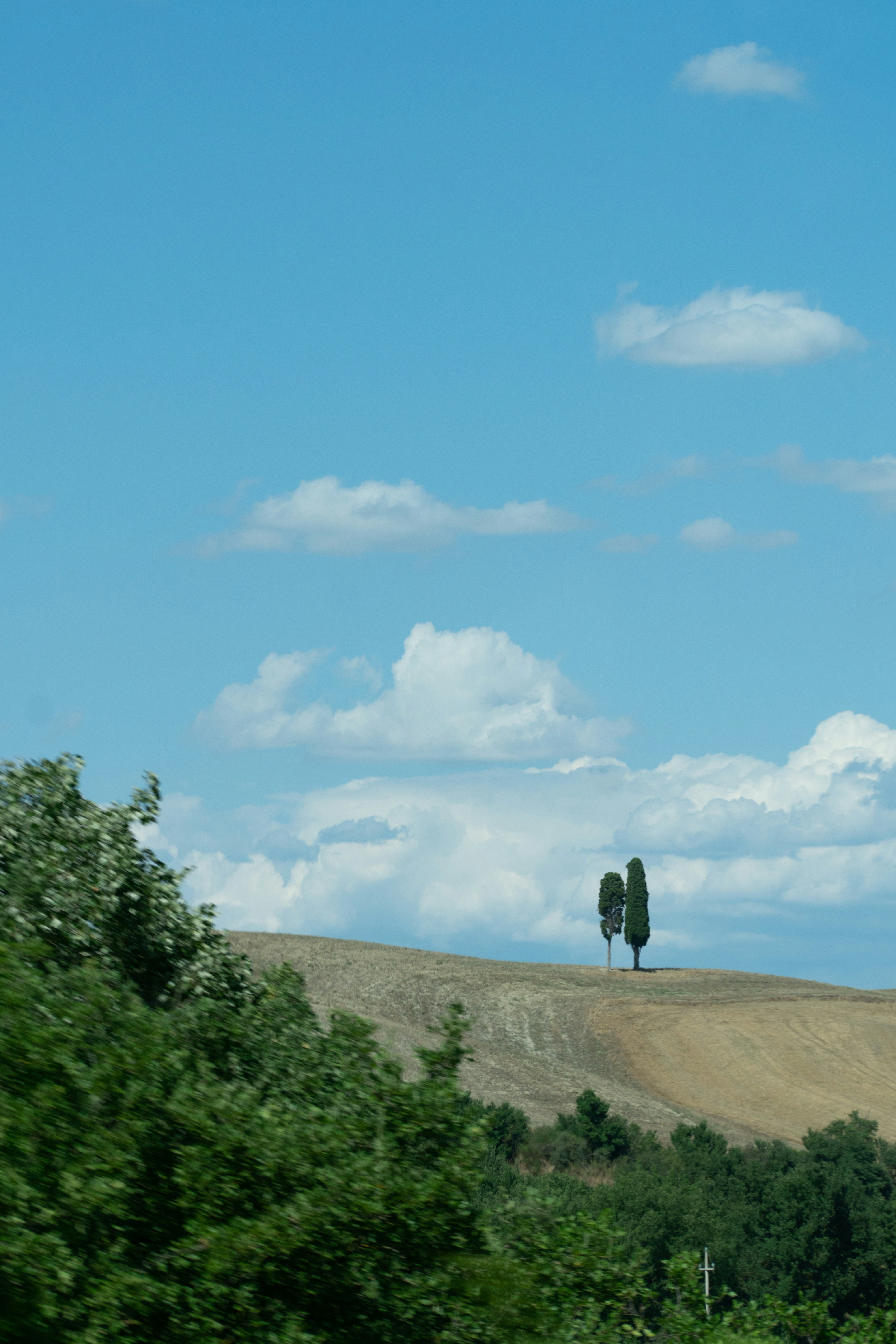 Two cypress trees stand on a rolling tuscan hill.