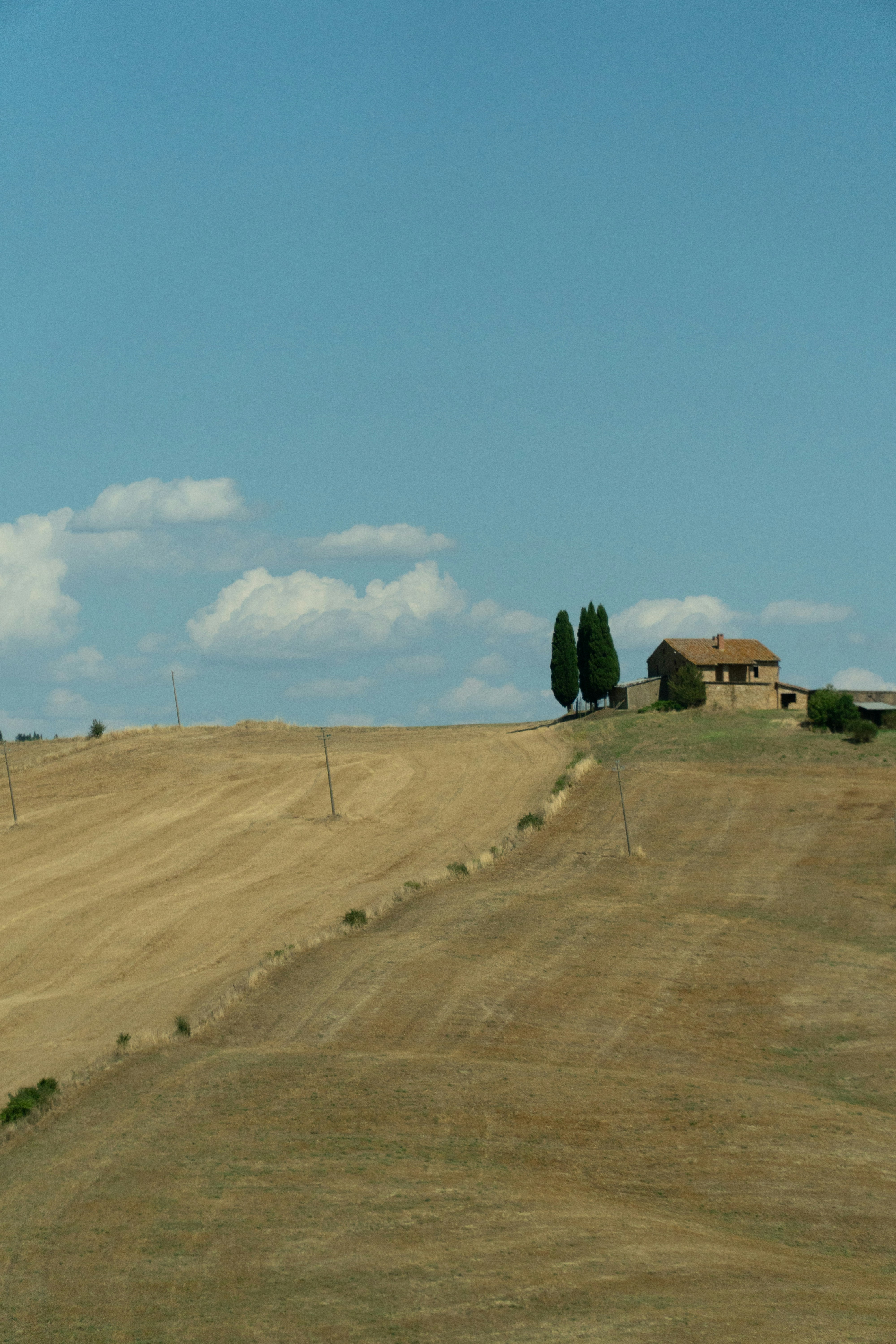 Rolling hills with a house and cypress trees under blue sky.