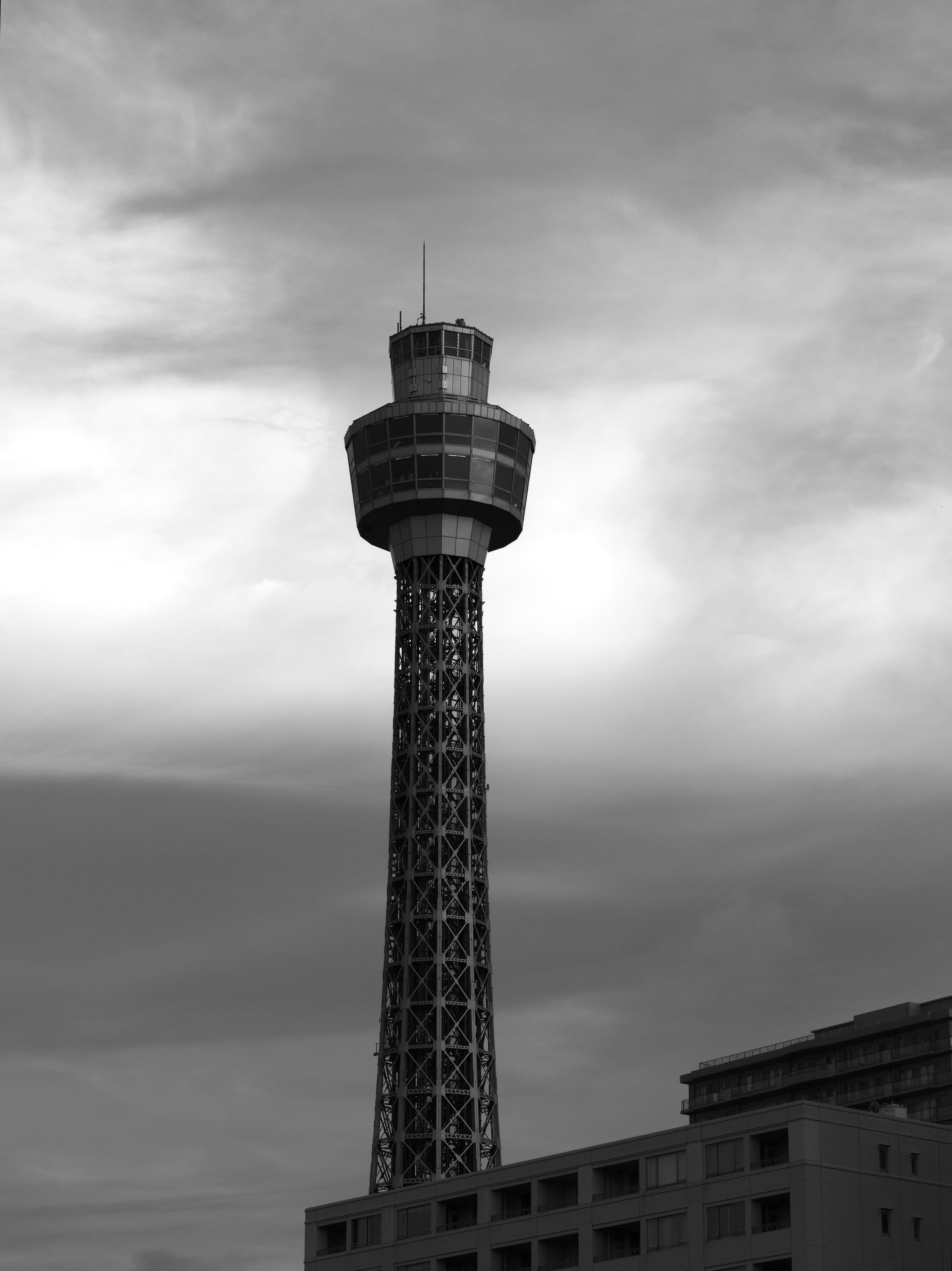 Vertical Elegance: The Towering Sentinel