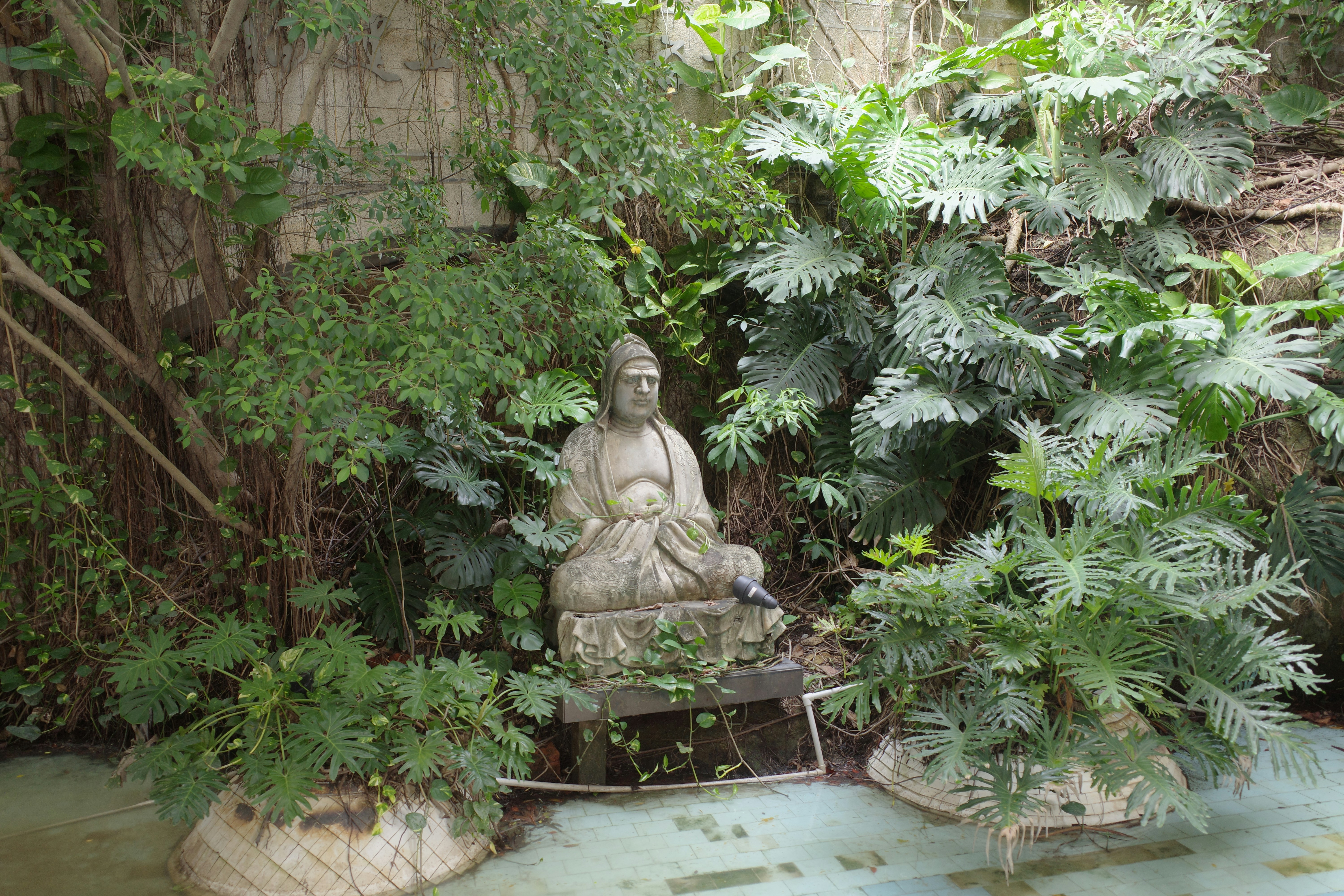 Serenity Amidst Verdant Embrace