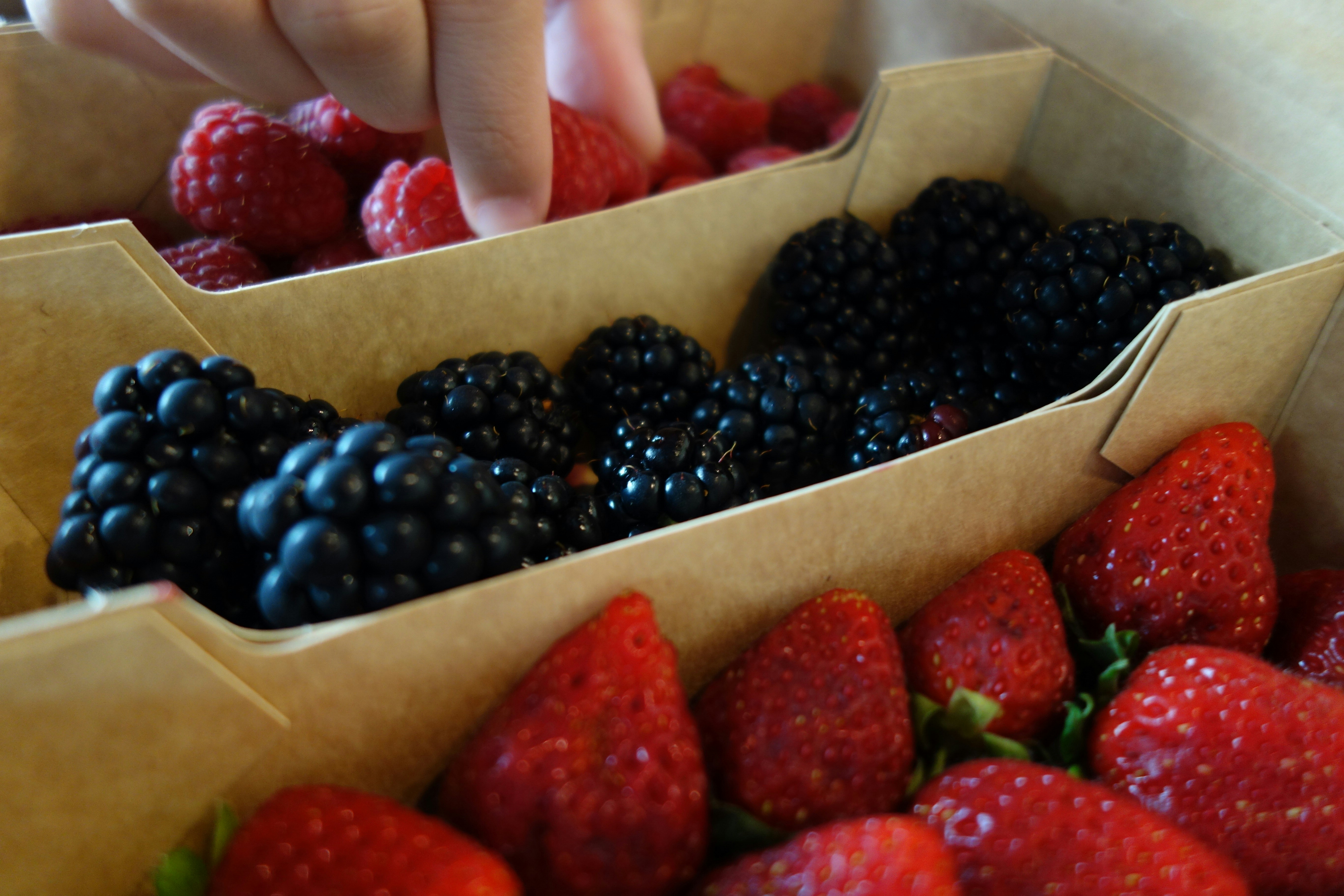 Harvesting Nature's Sweet Gems