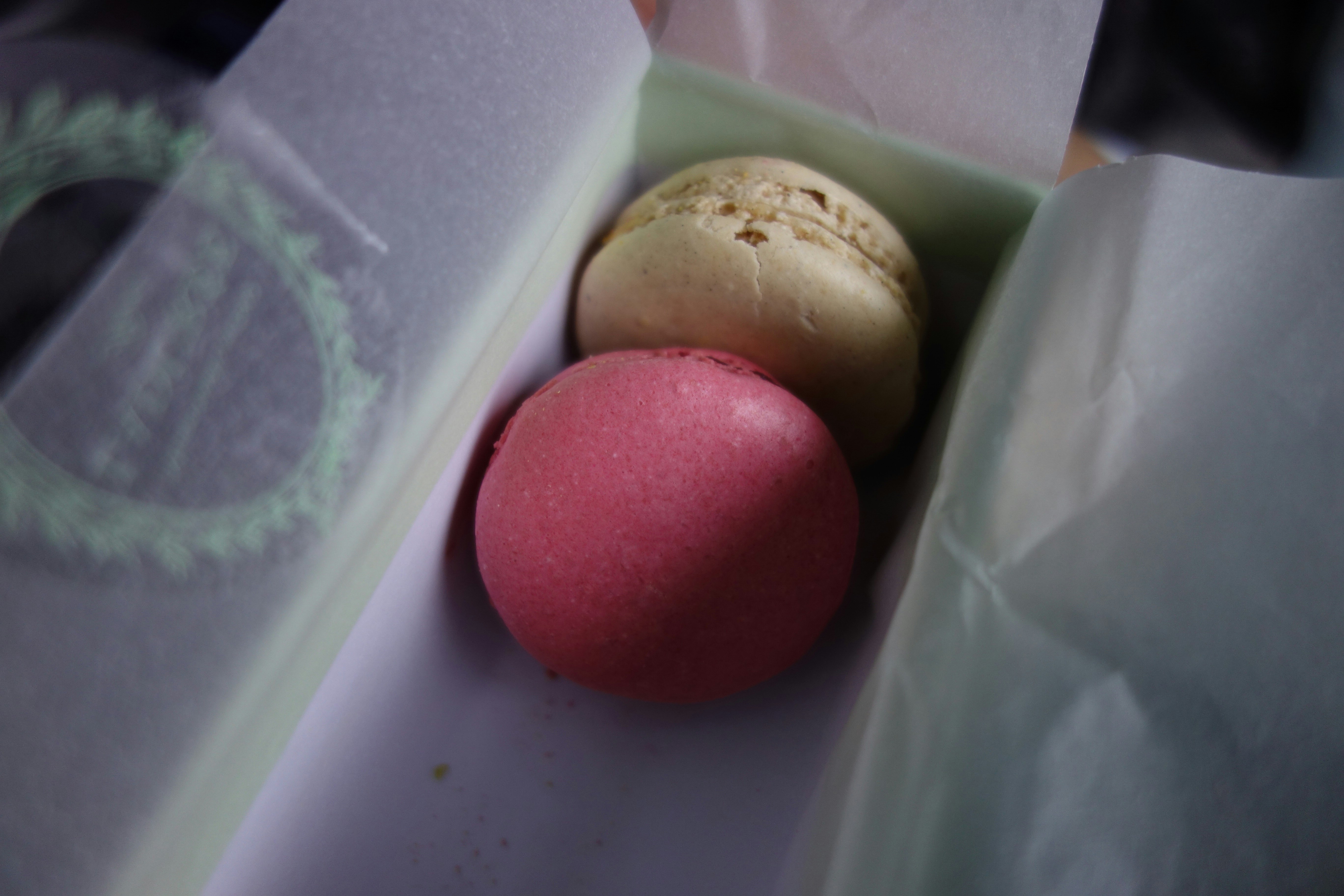 Sweet Harmony: A Delicate Duo of Macarons