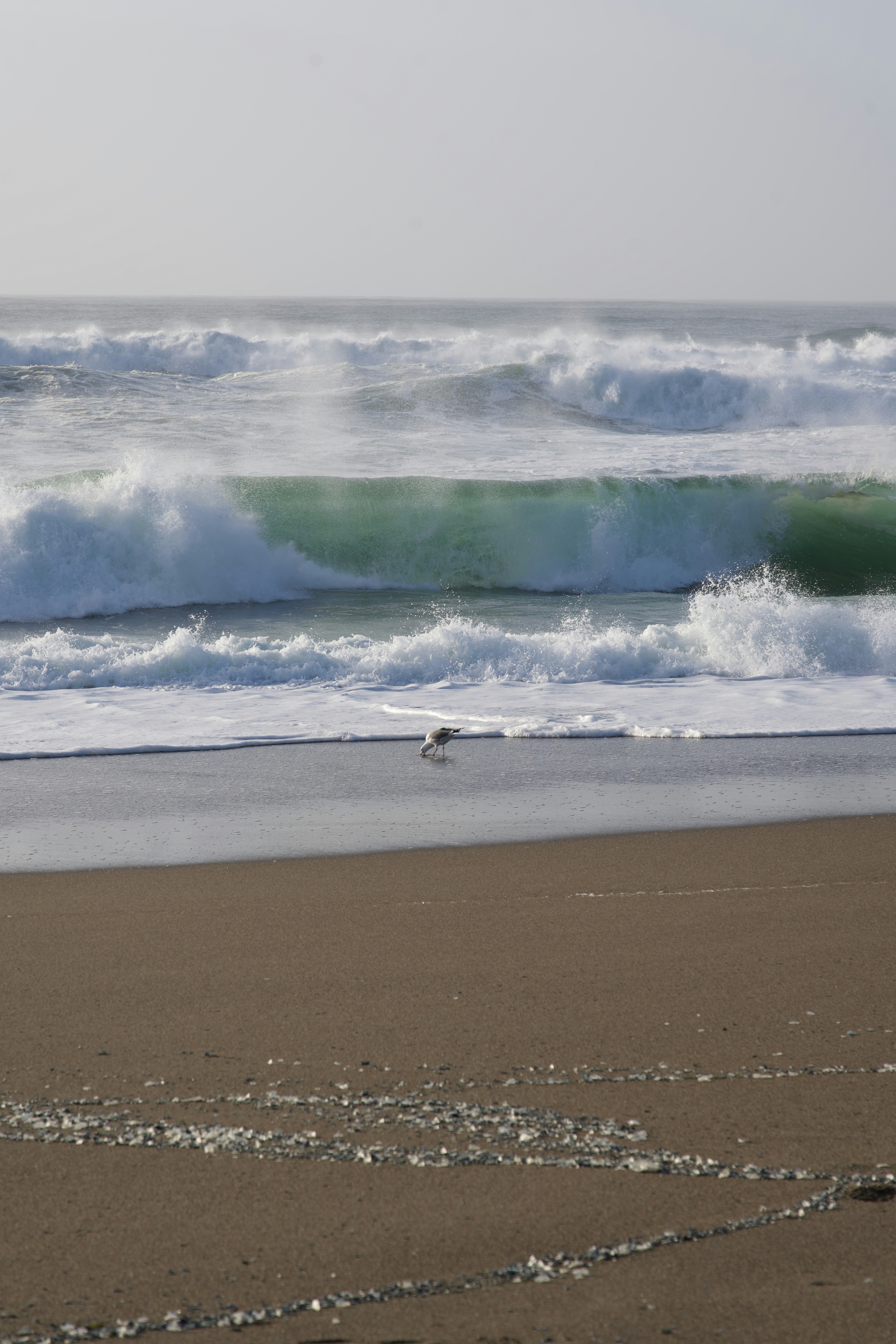 Harmony of Waves and Shoreline