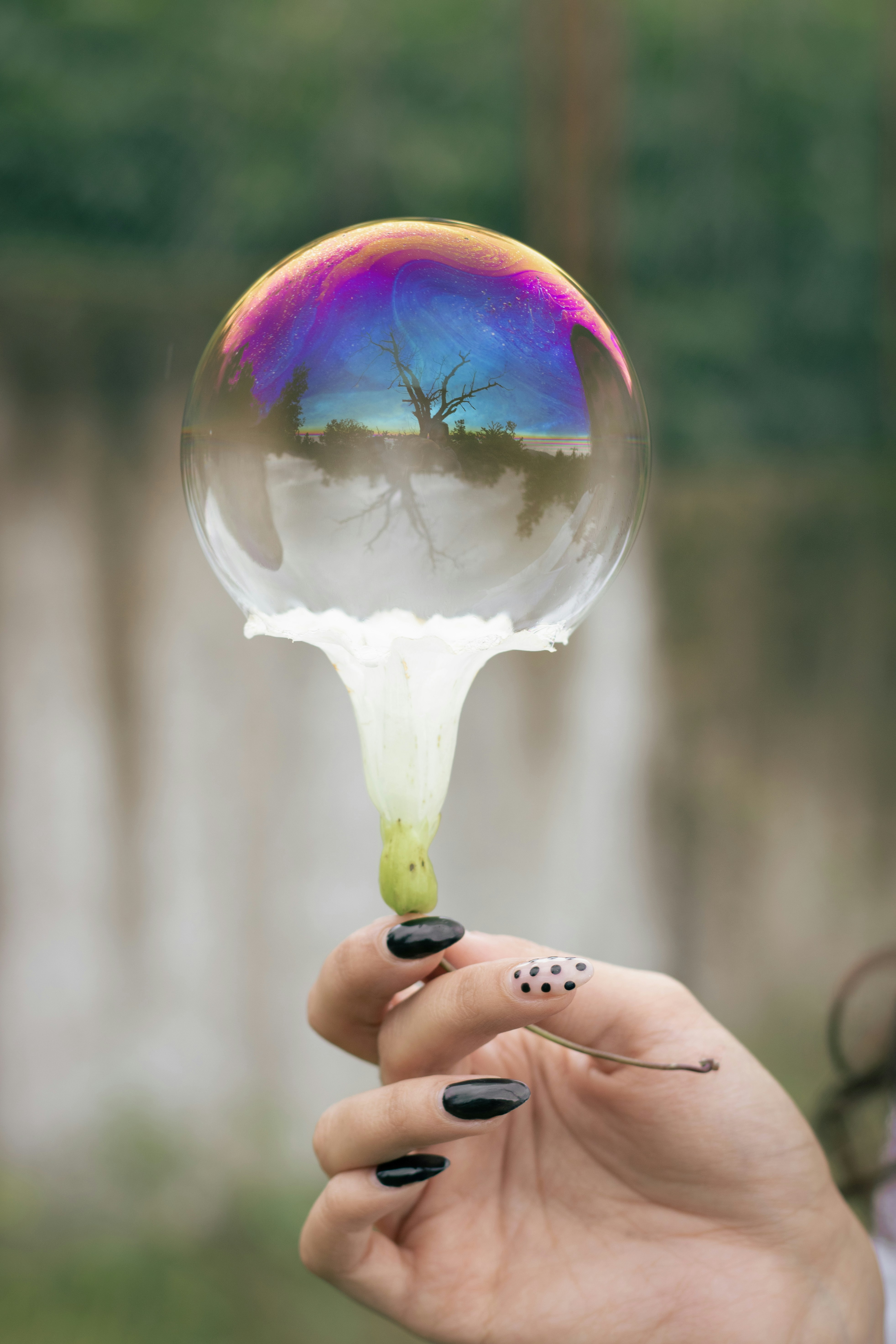 Whispers of Reflection: The Bubble's Embrace