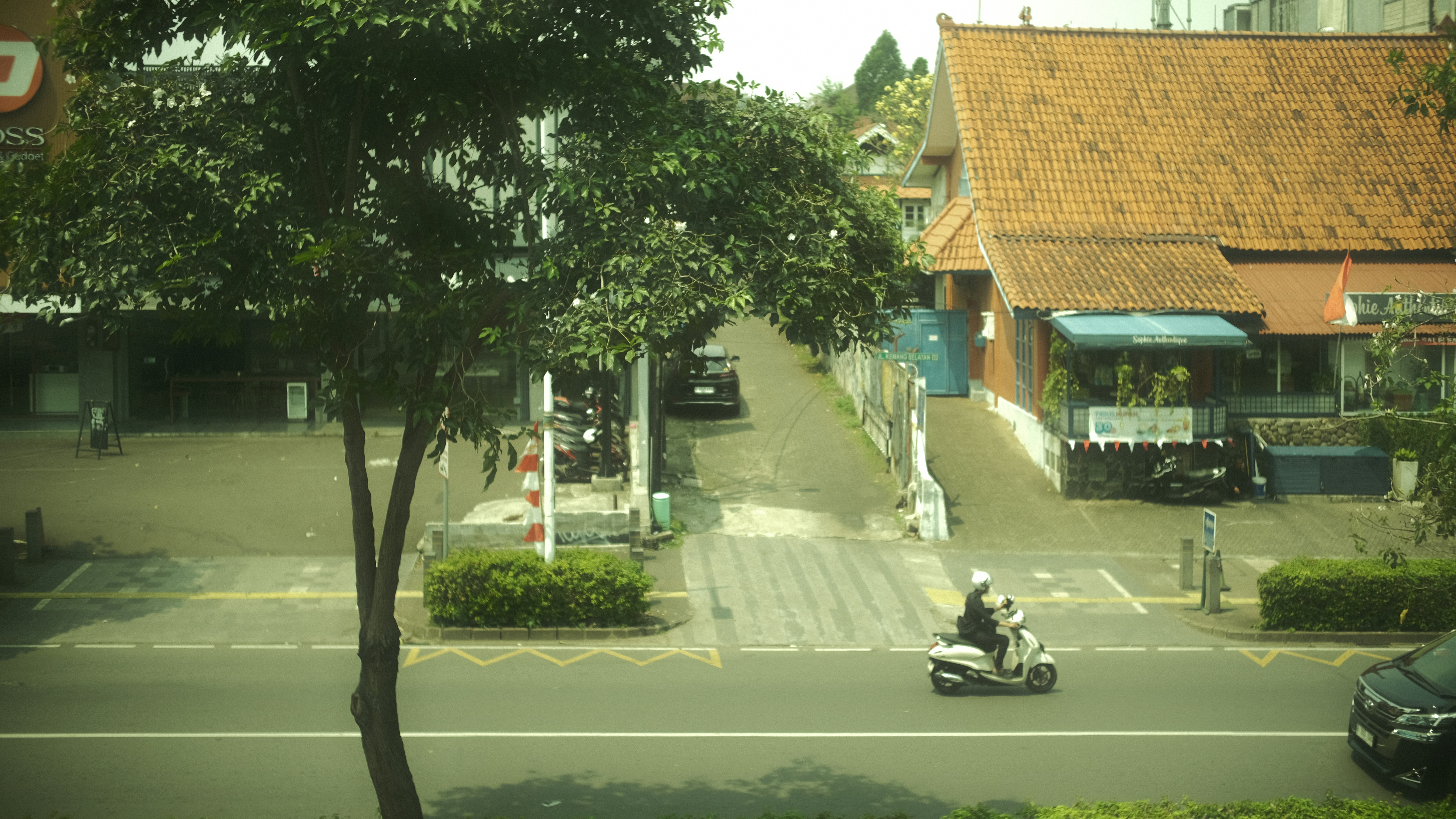 Motorcycle rider on a street with buildings and trees. photo – Free Car ...
