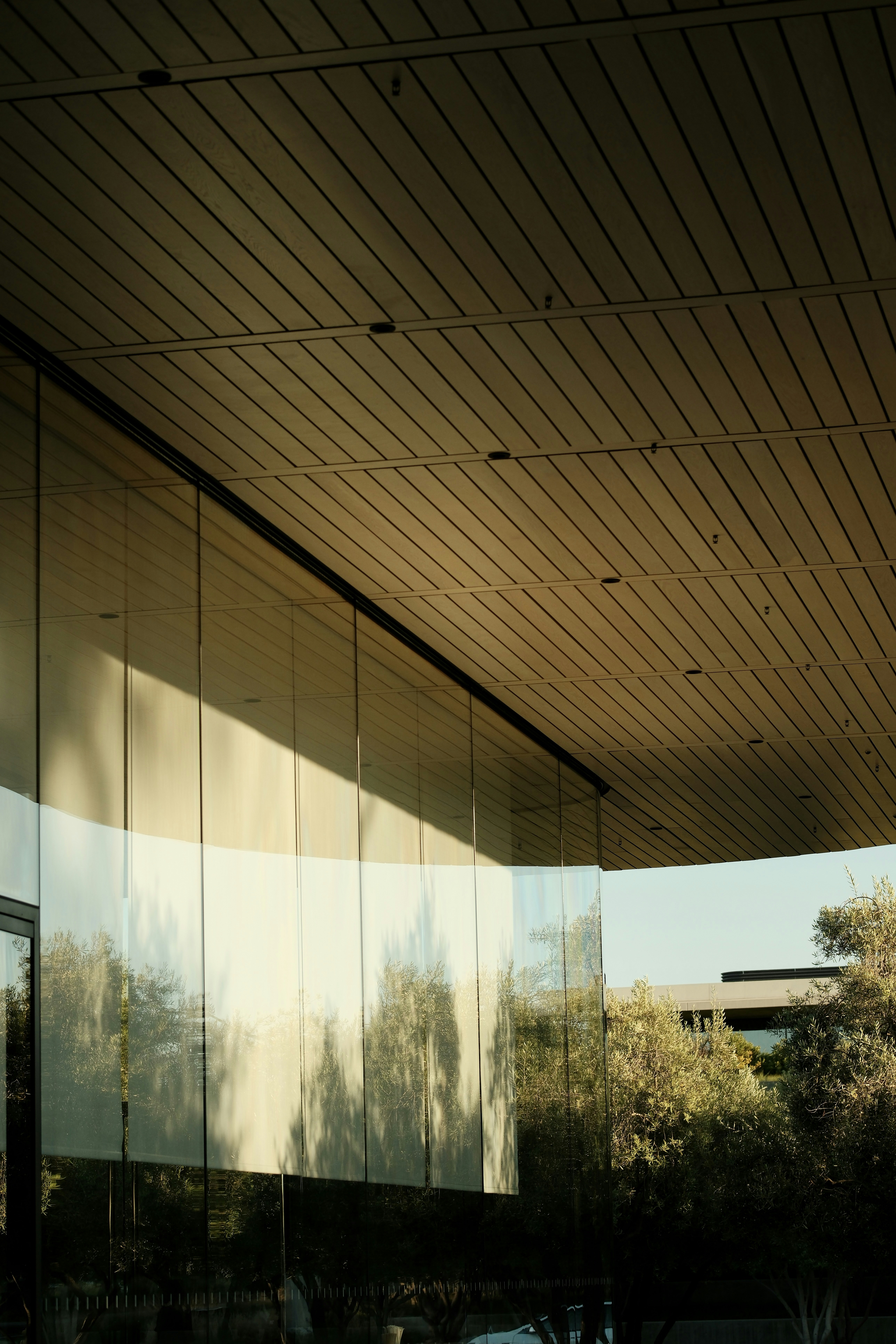 Curved glass building with wooden ceiling and reflections