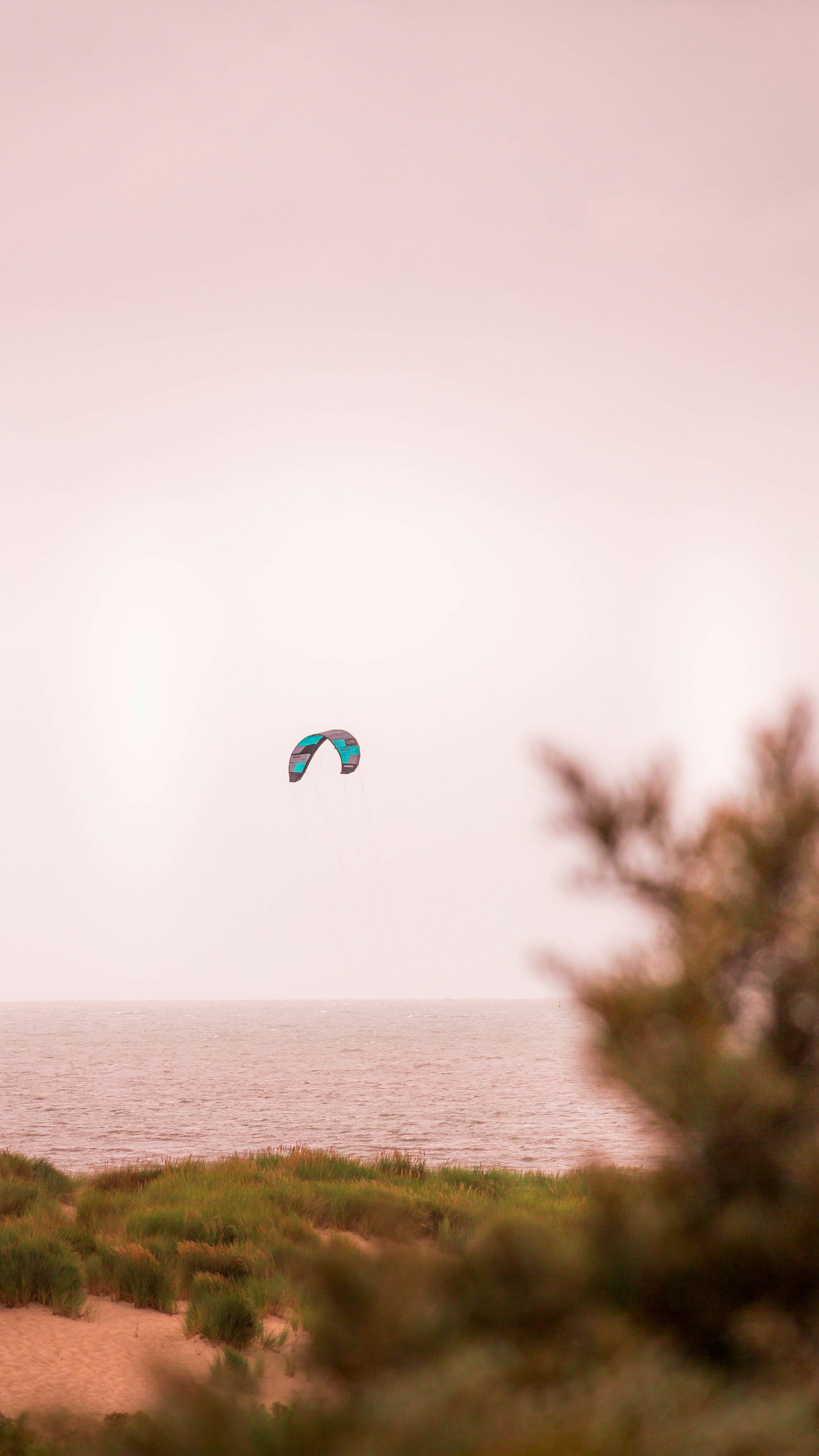 Soaring Above Tranquil Waters