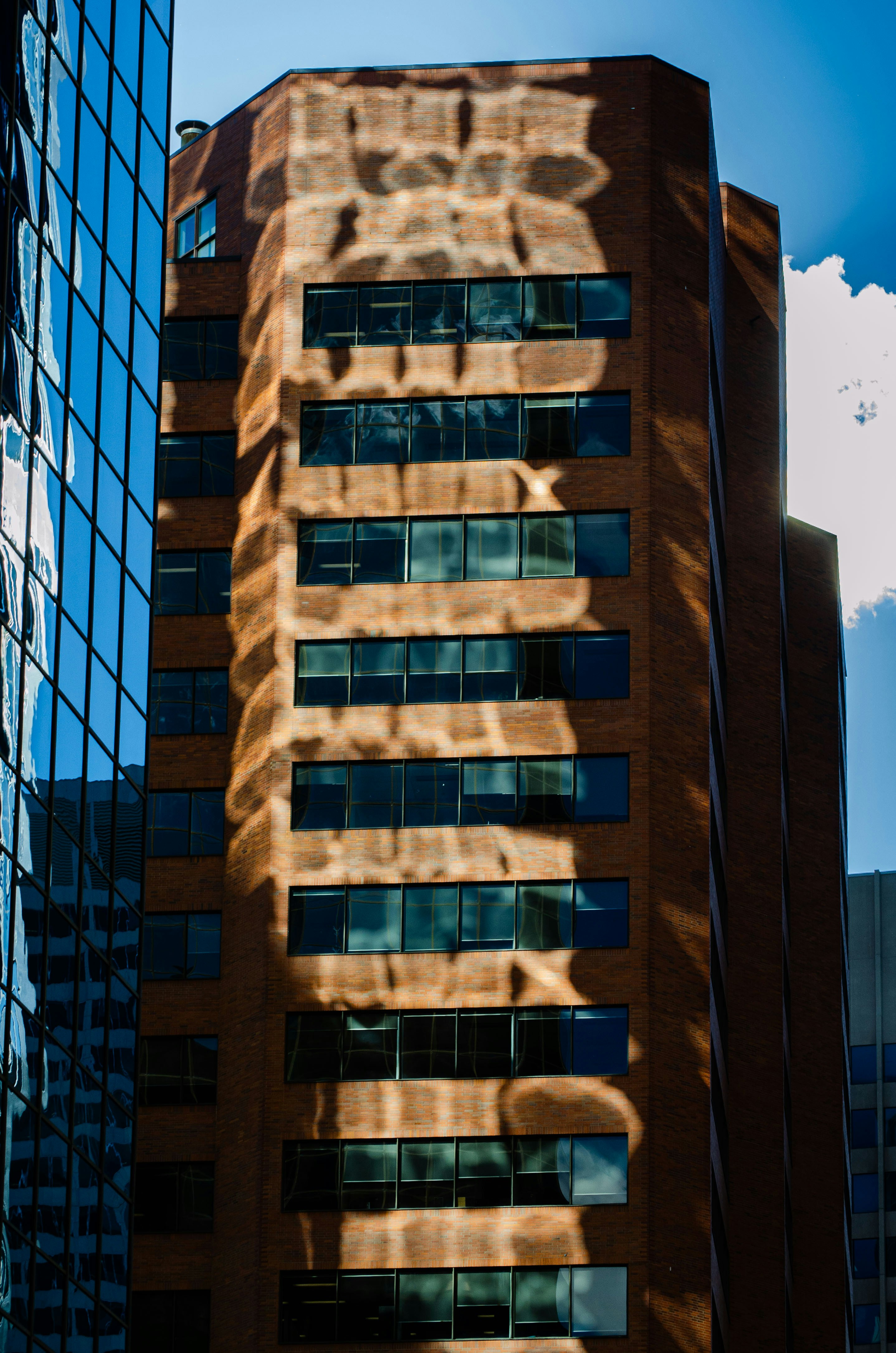 Intricate shadows cast on a brick building from nearby glass structures, highlighting the interplay of light in an urban setting.