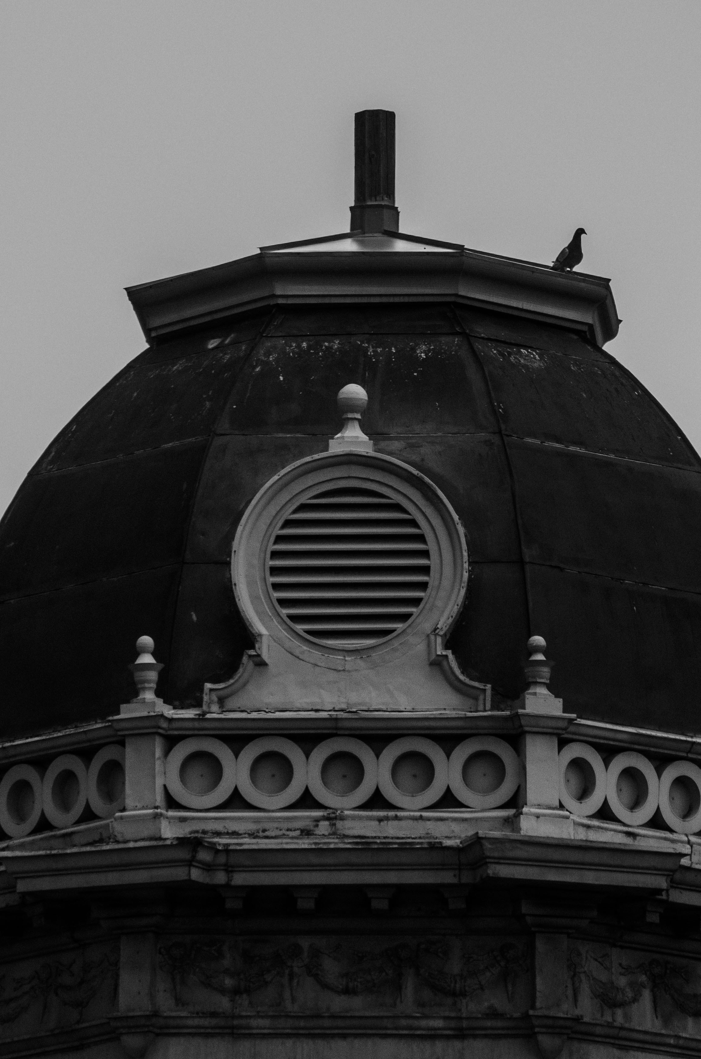 A monochrome architectural shot of a domed structure, with a bird perched on top, emphasizing symmetry and texture. | A bird perched on top of a domed building