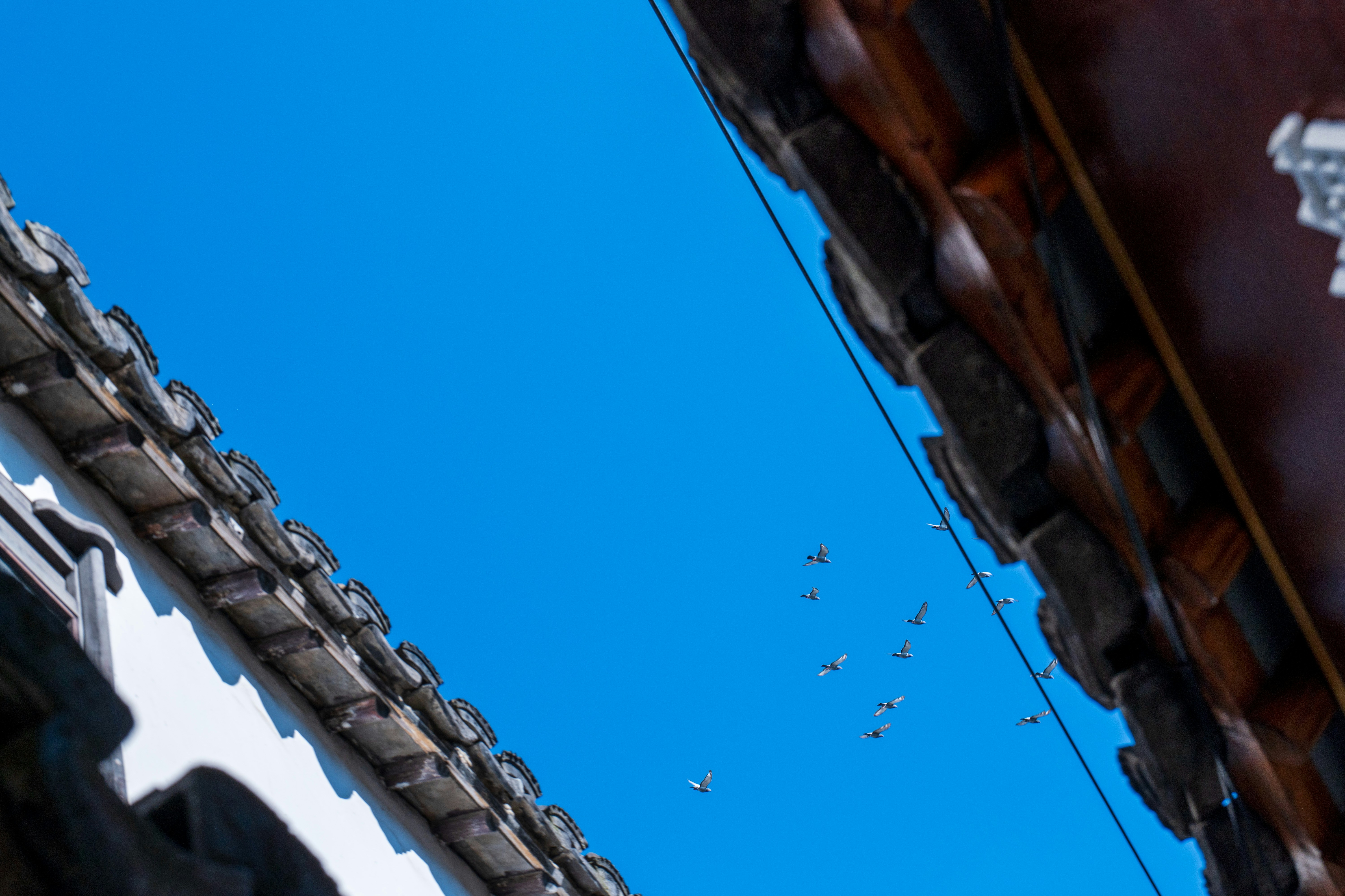 Photo by Low Angle with Panasonic Lumix S5 II