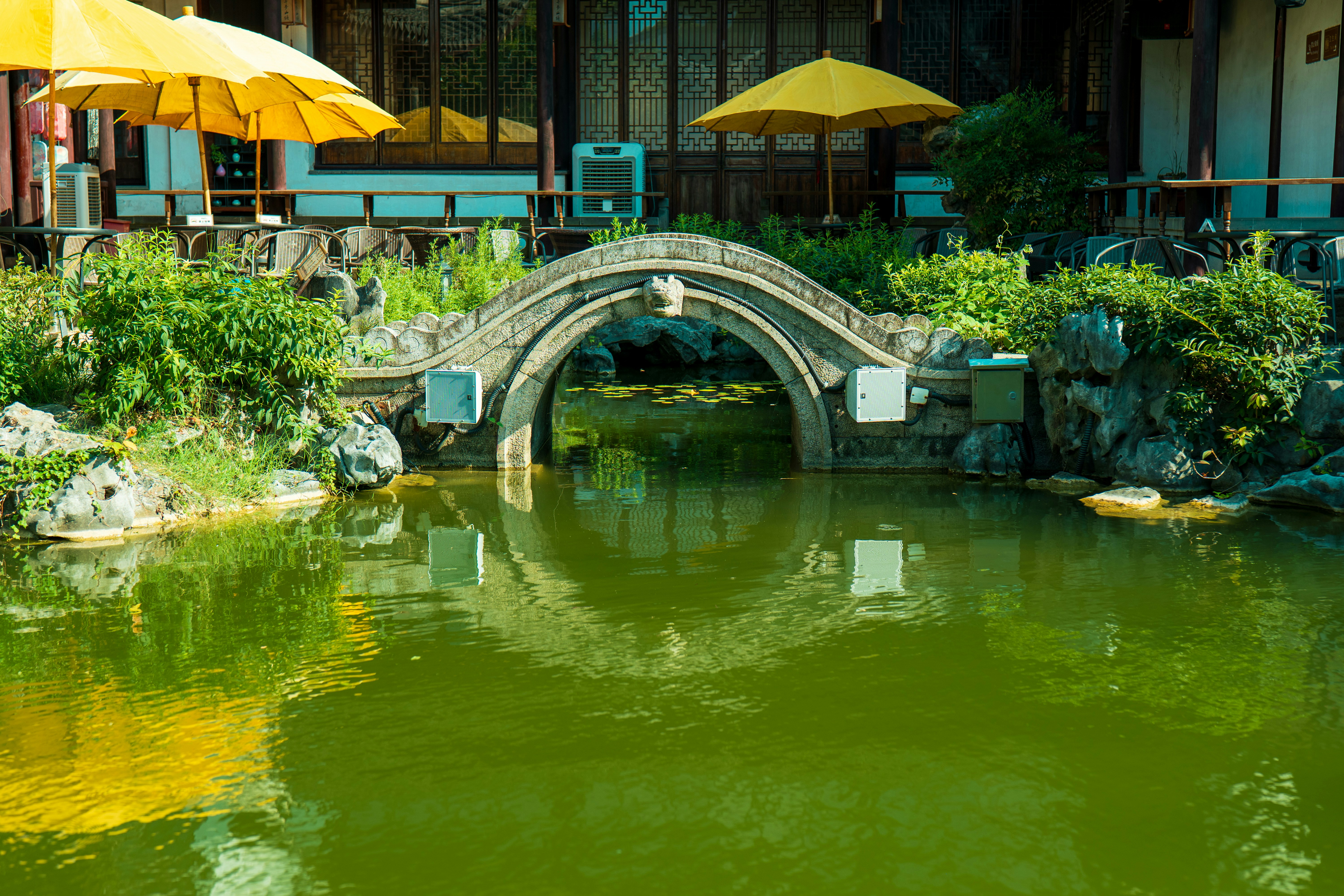 Serene Reflections: A Tranquil Garden Escape