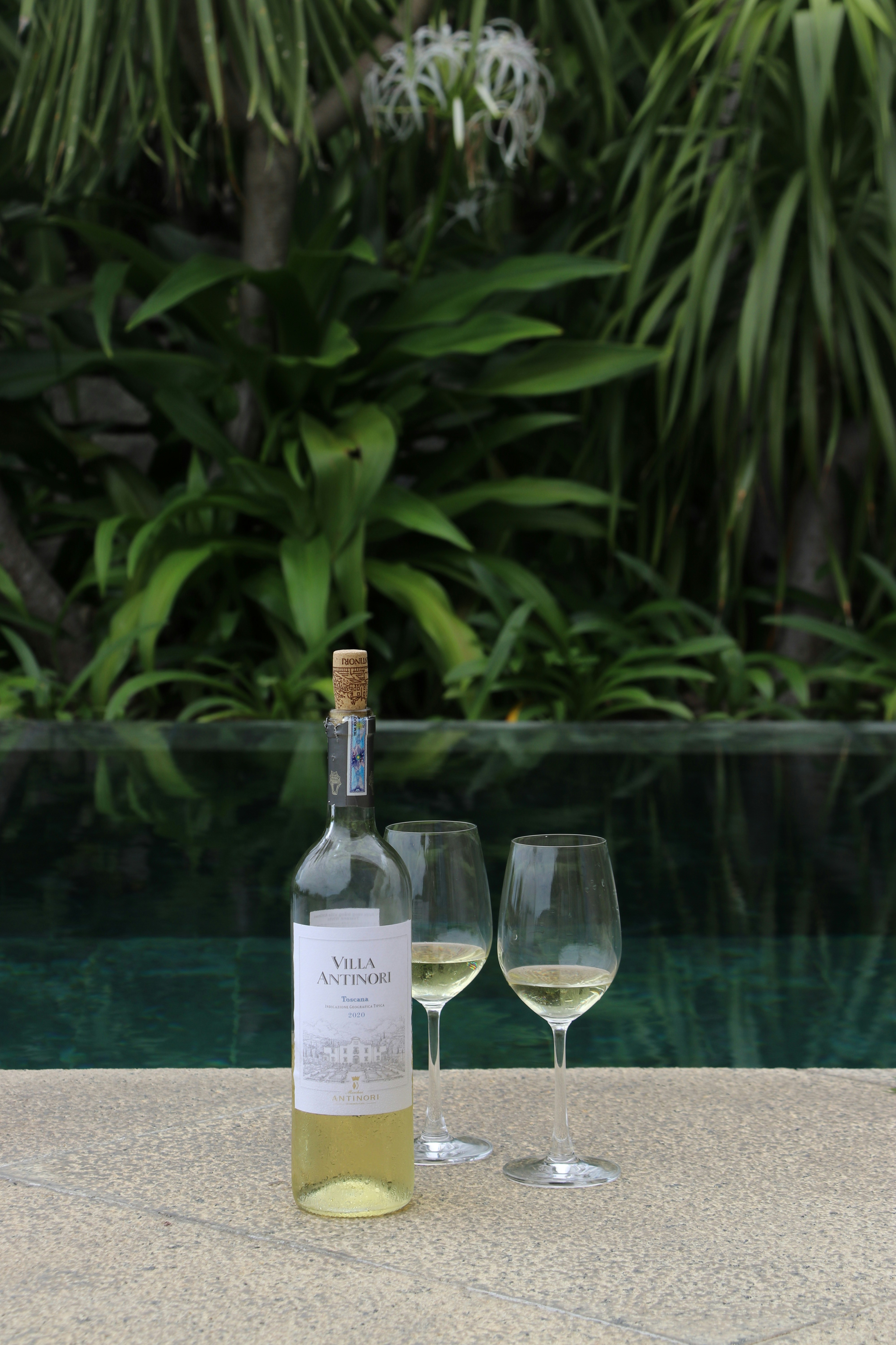 Serenity by the Poolside: A Toast to Tranquility