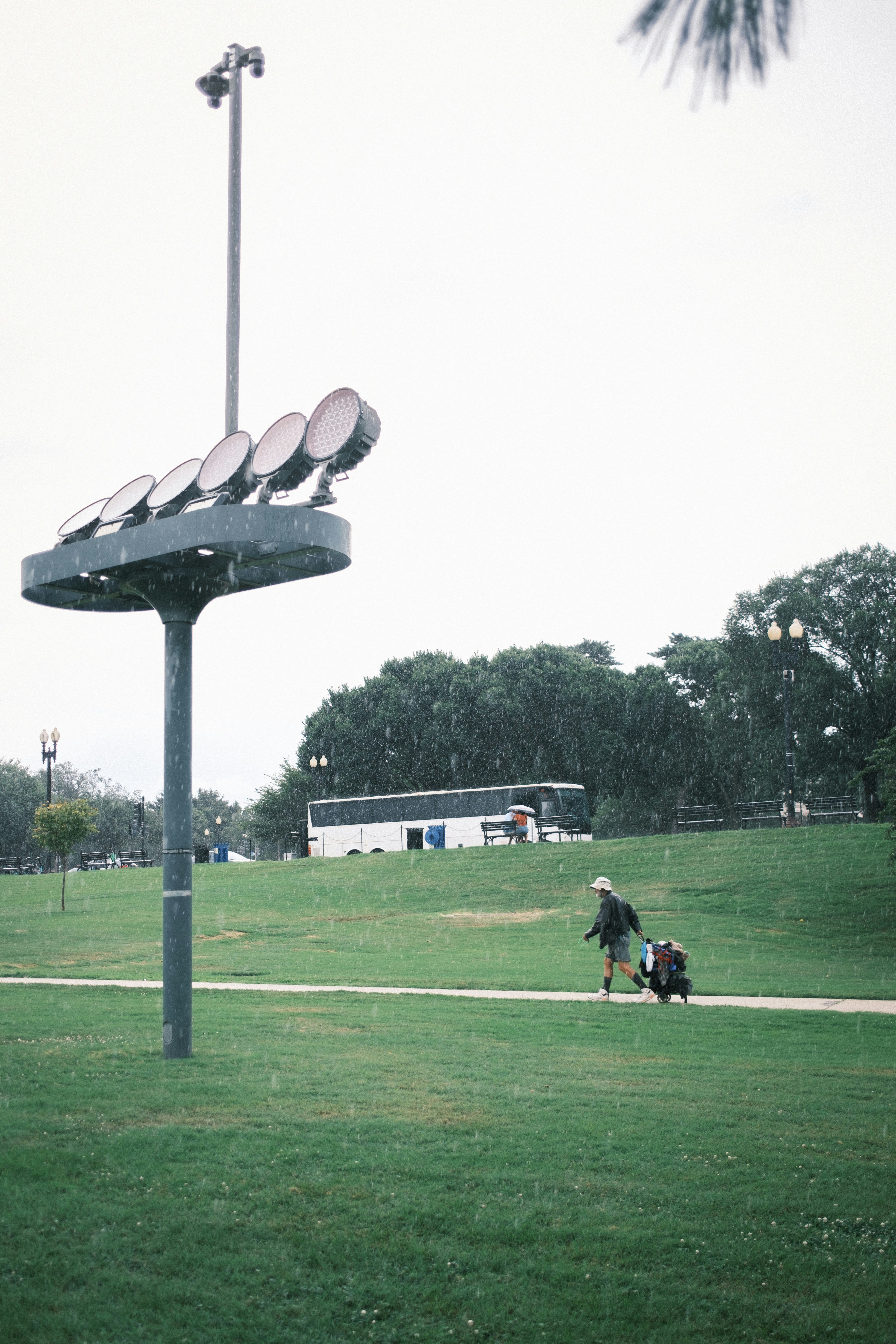 Resilience in the Rain: A Journey Through the Park