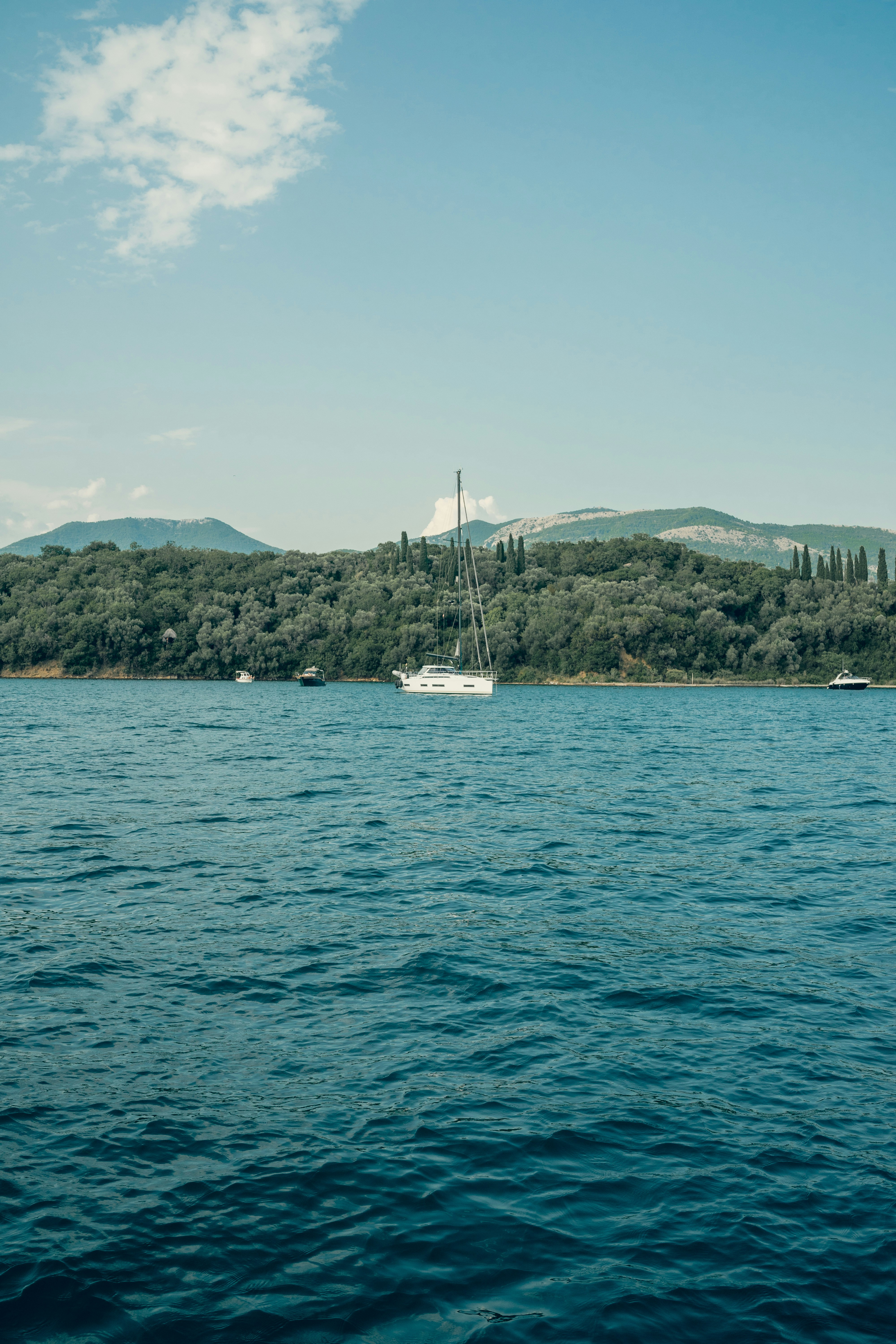White sailboat on blue water near green coastline