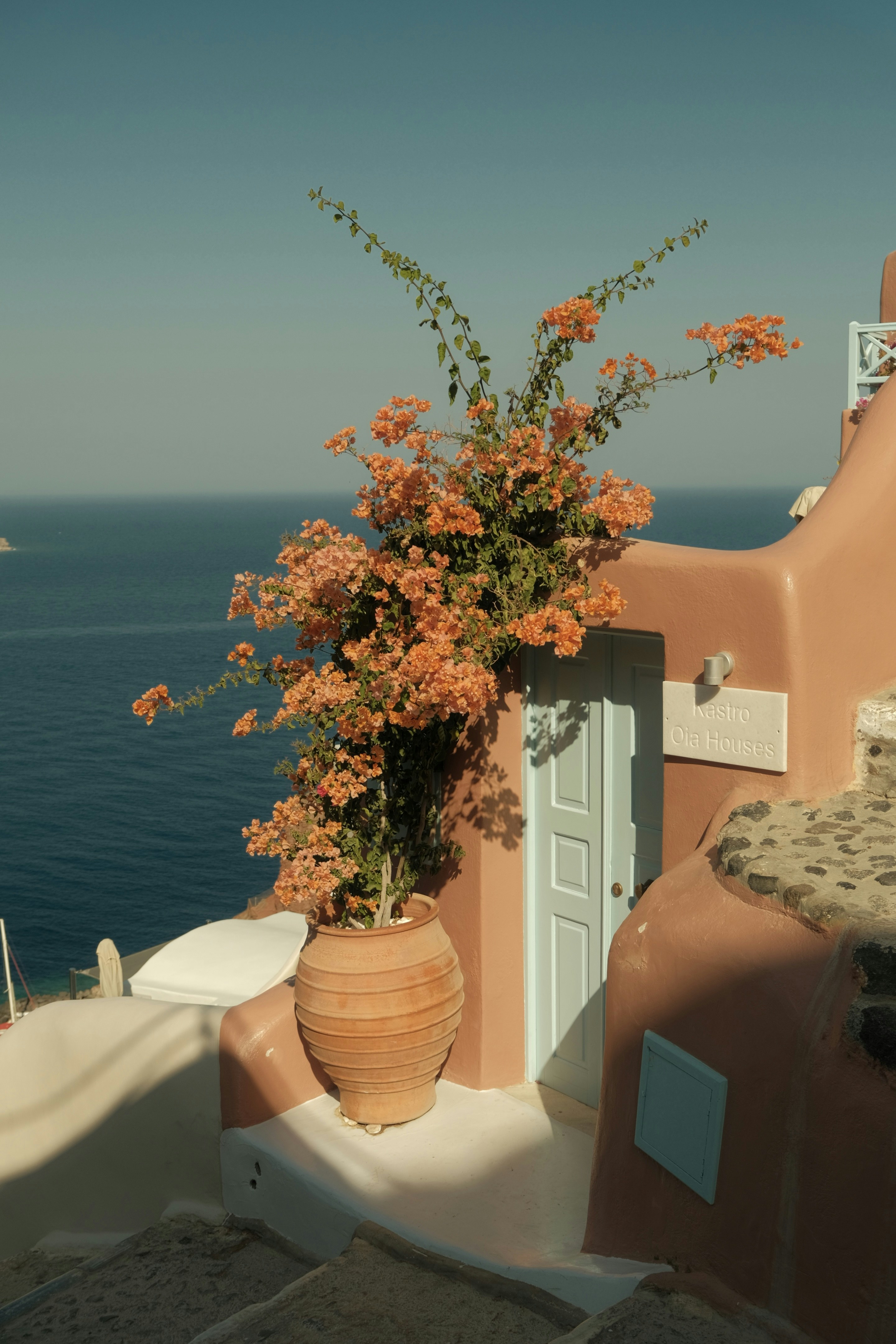 Bougainvillea Cascade by a Cerulean Door on a Cliffside Terrace