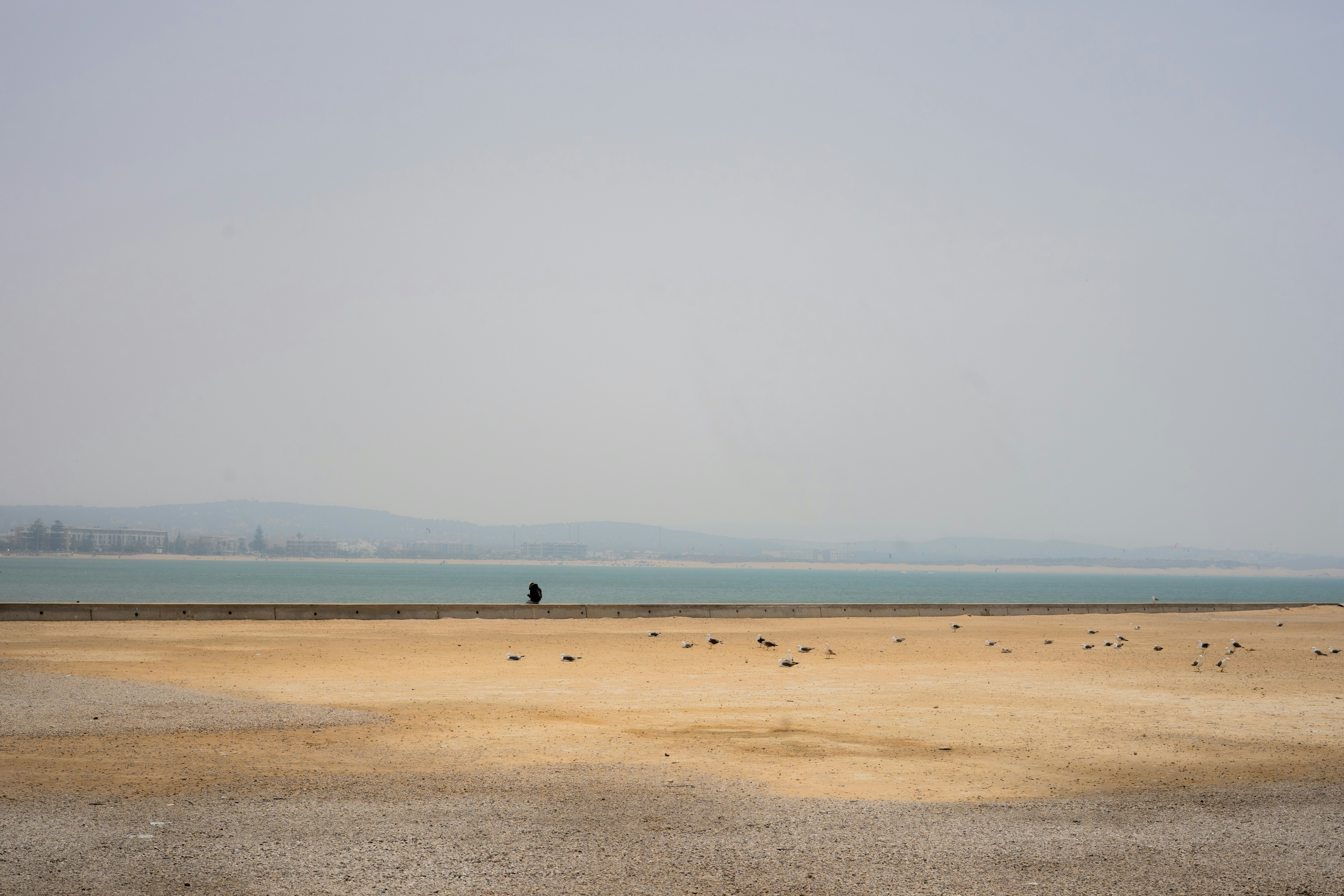 Lone figure walks along a misty shoreline with calm water