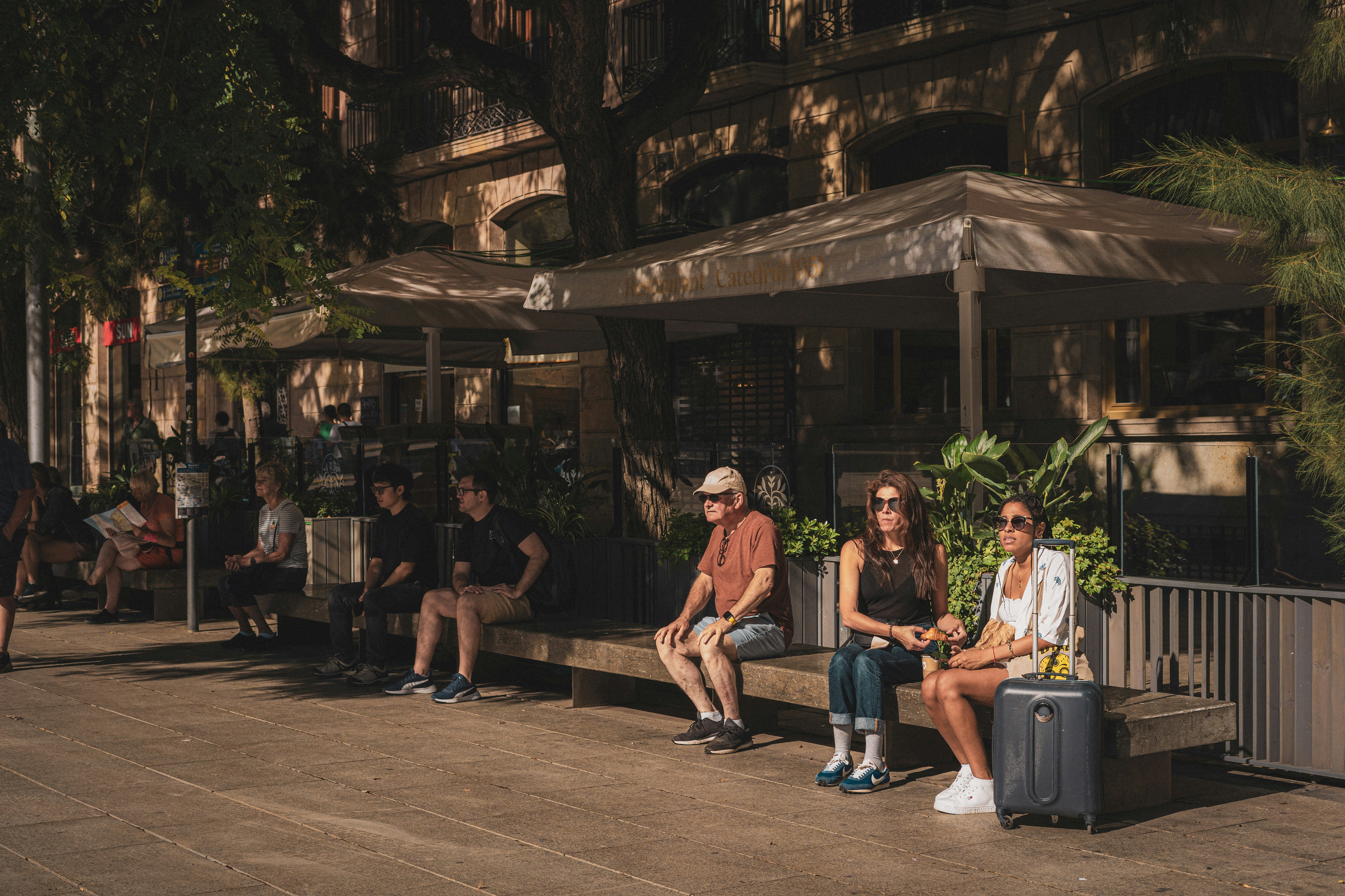 Quiet Moments in Urban Leisure