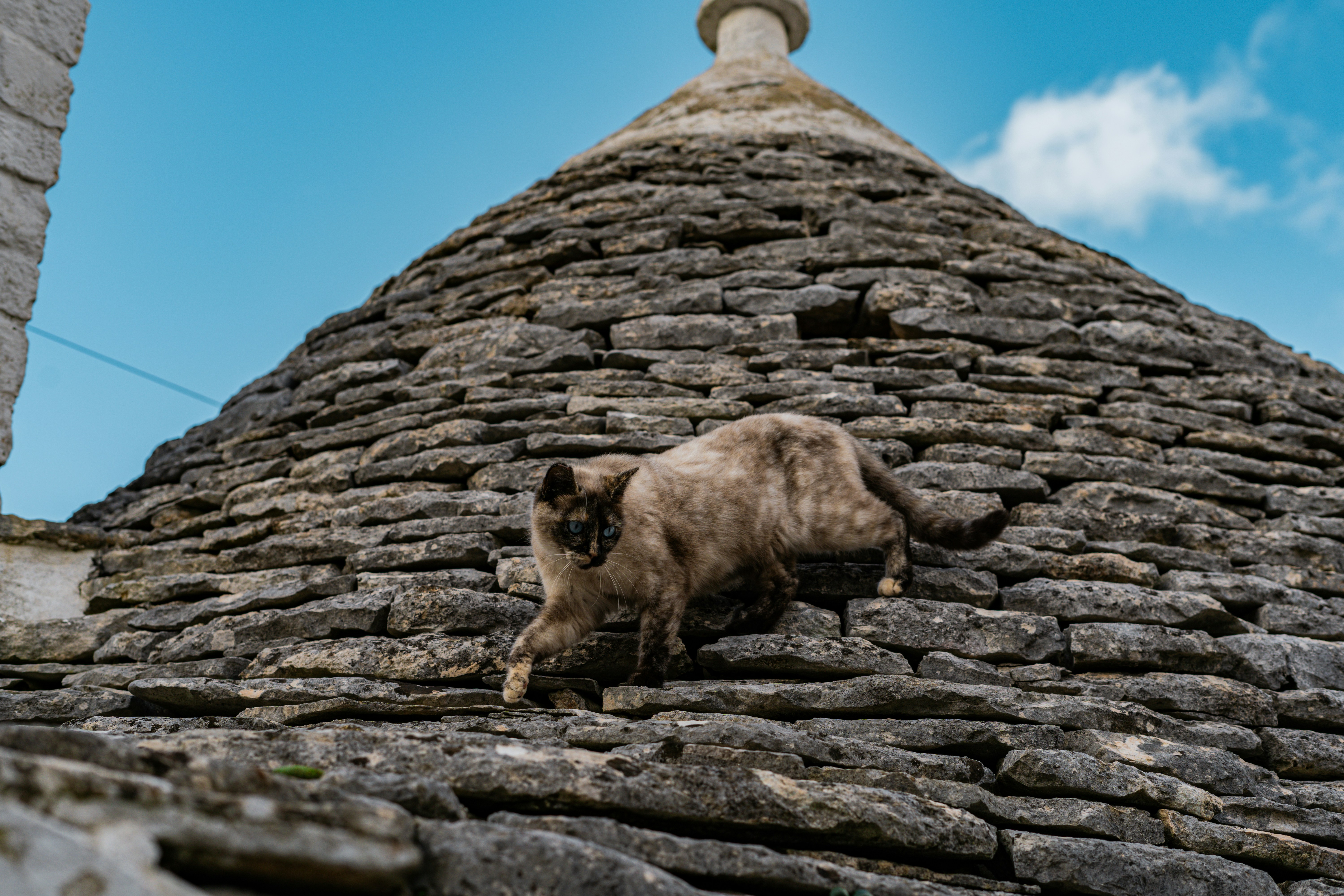 Cat on the Stone Cone: a sunlit climb over ancient rock