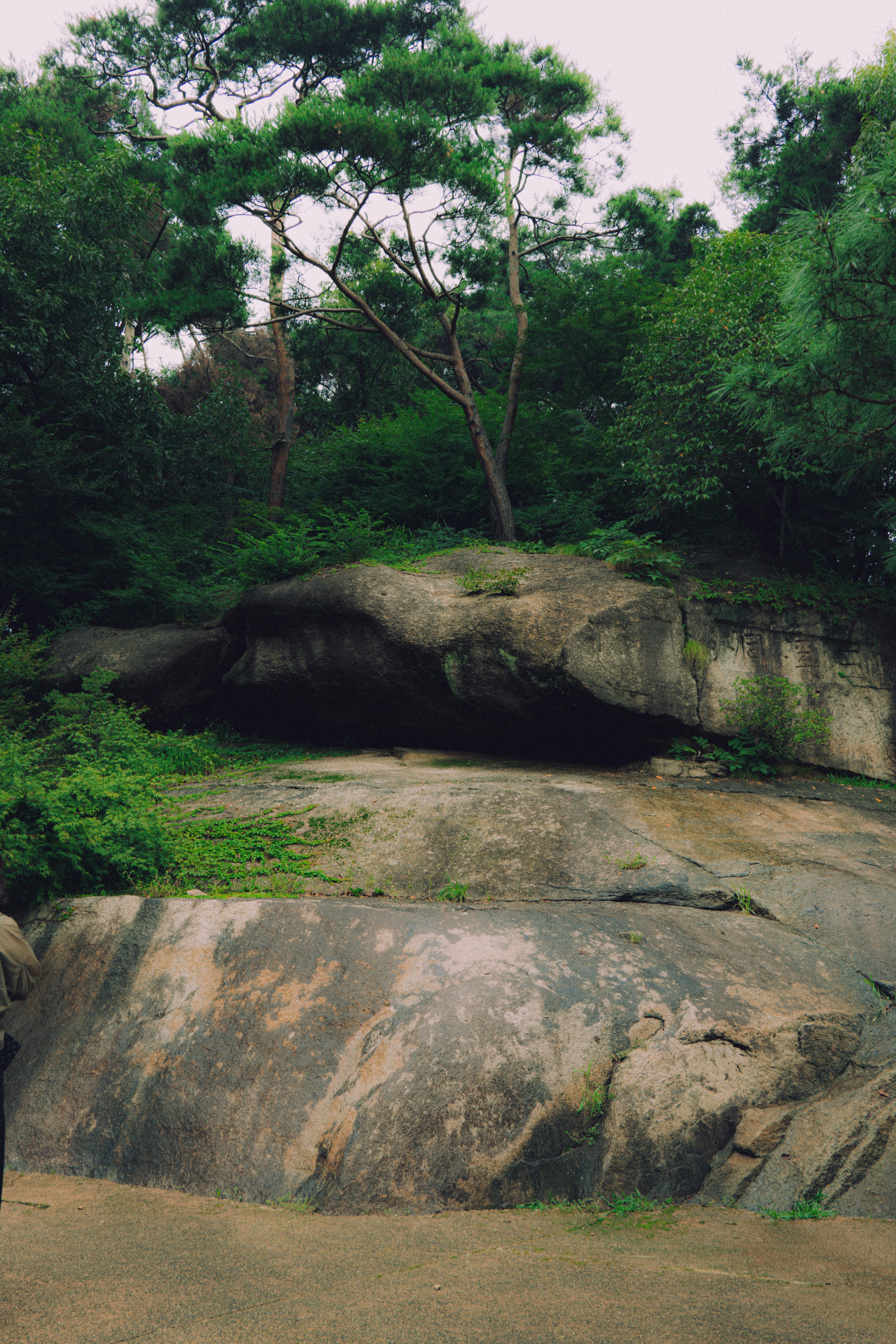 Nature's Sculpted Canvas