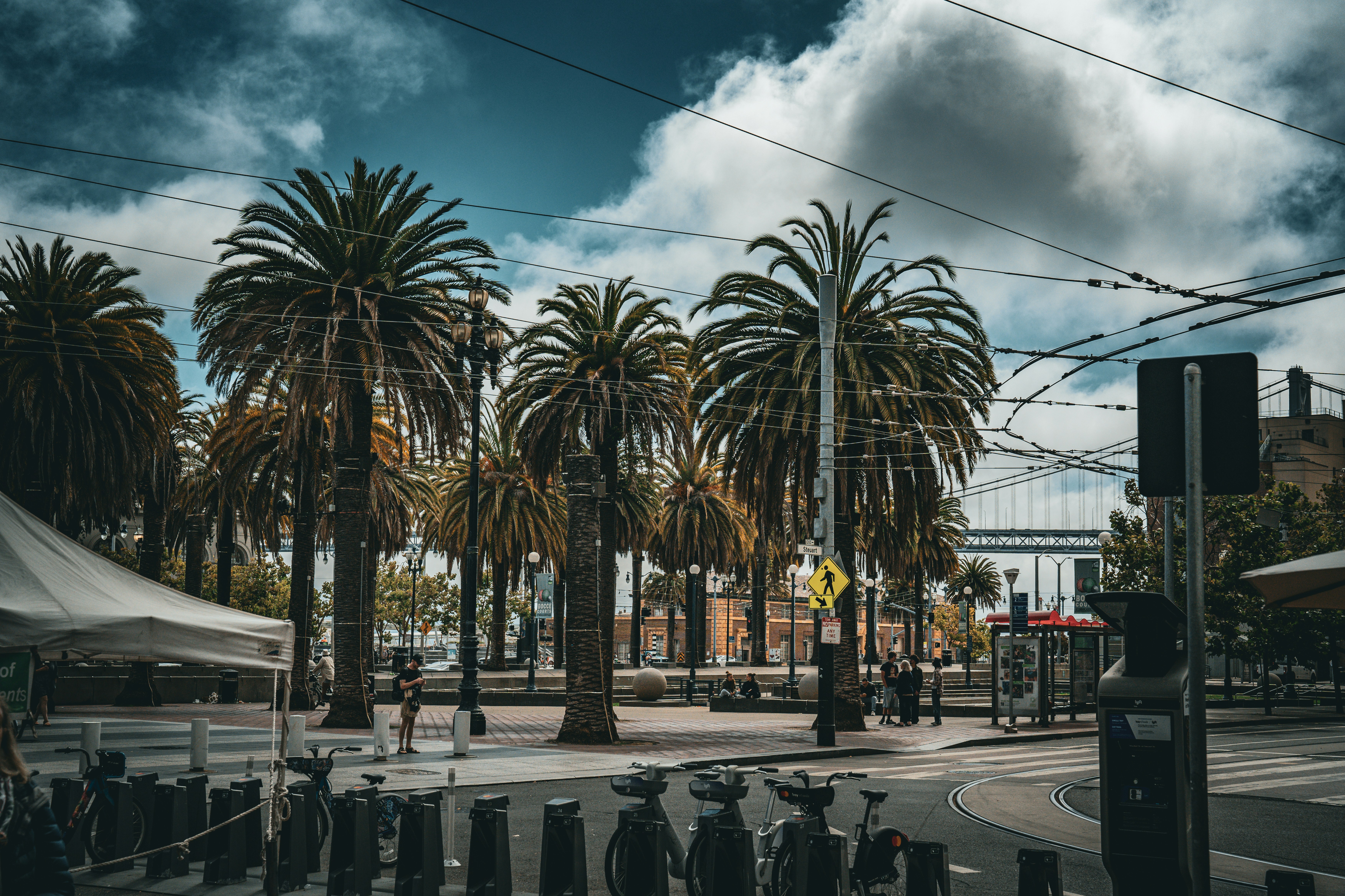 Palm trees line a city street under cloudy skies.