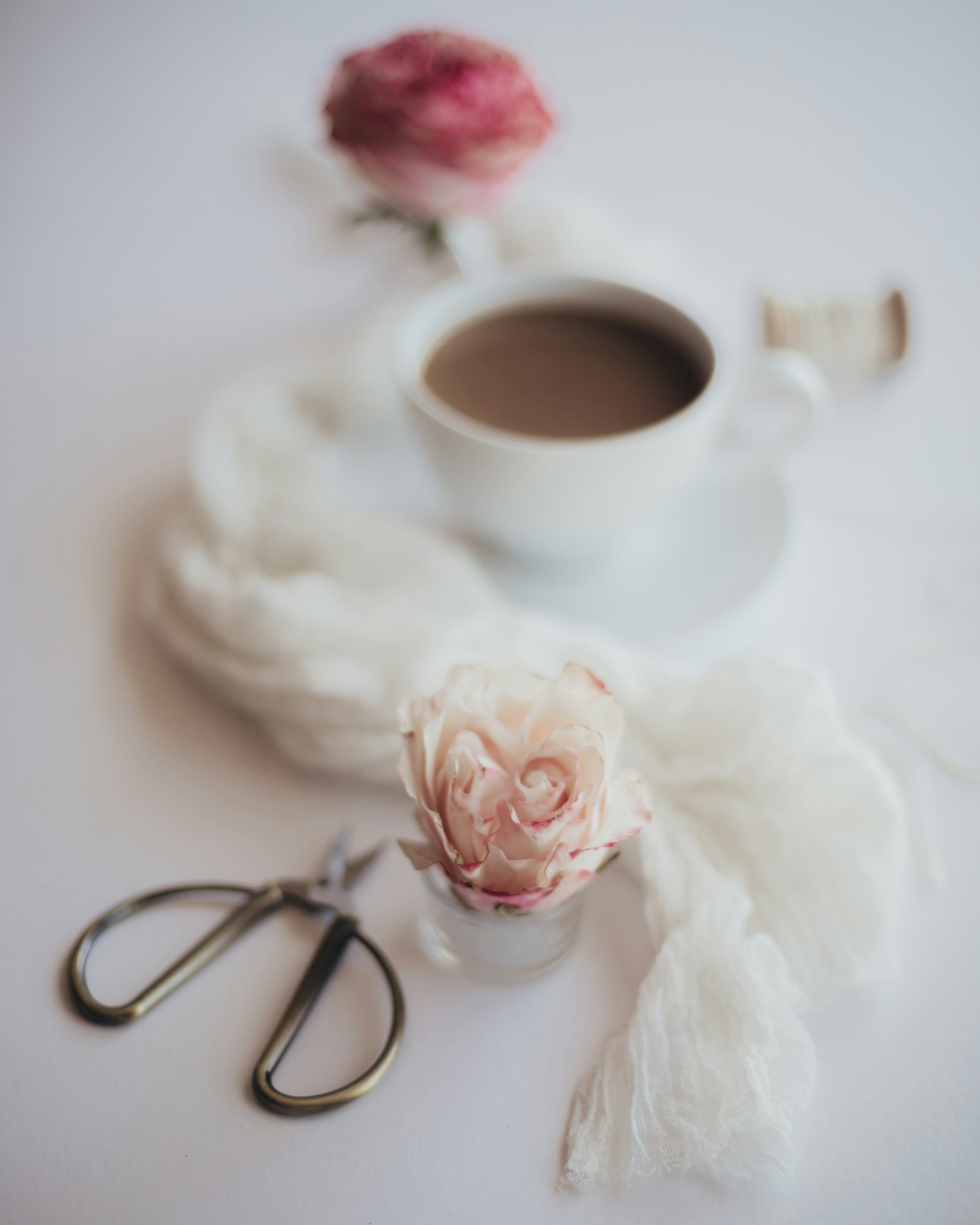 A Serene Moment of Stillness