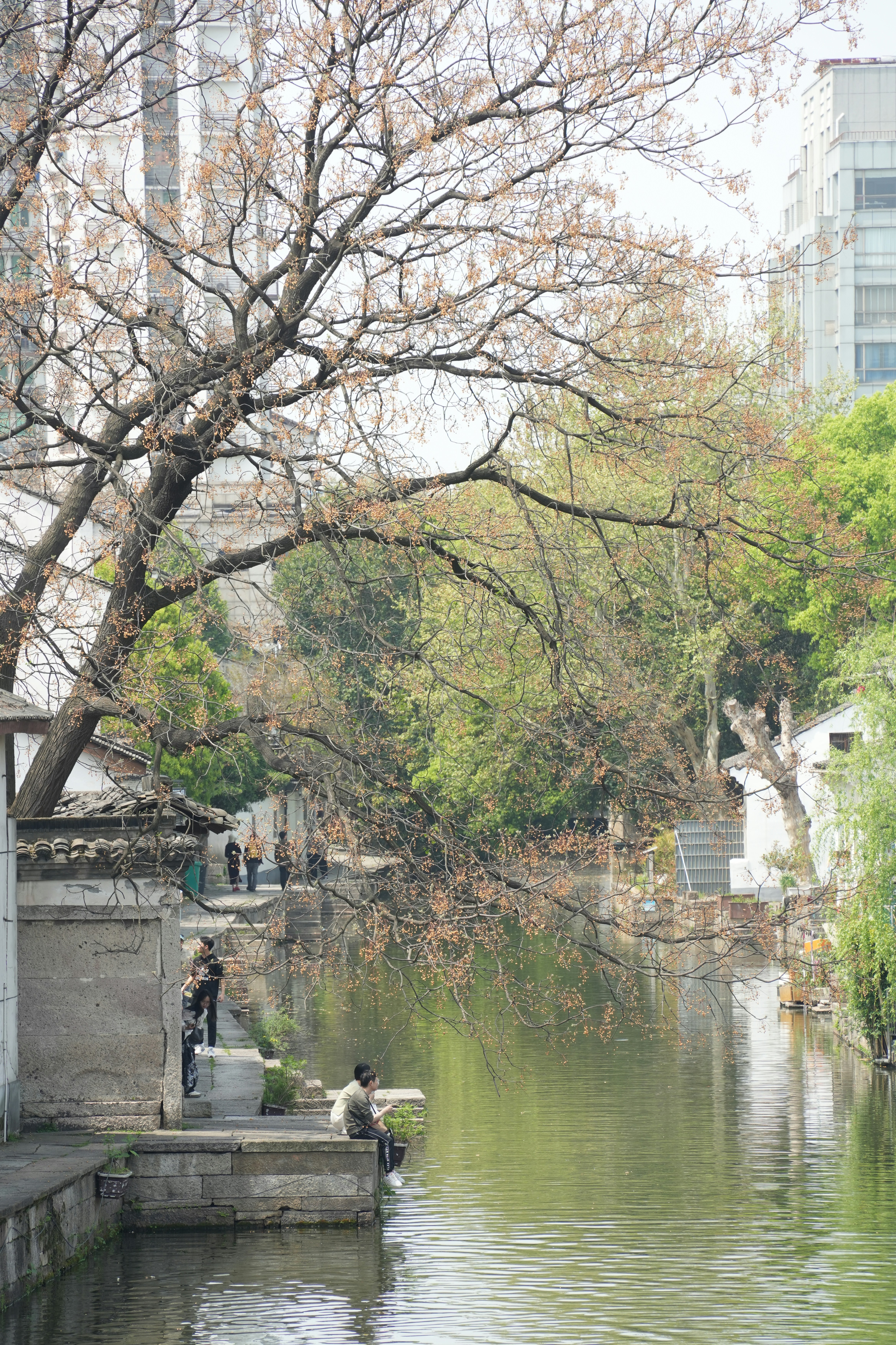 People by a tranquil canal with trees and buildings