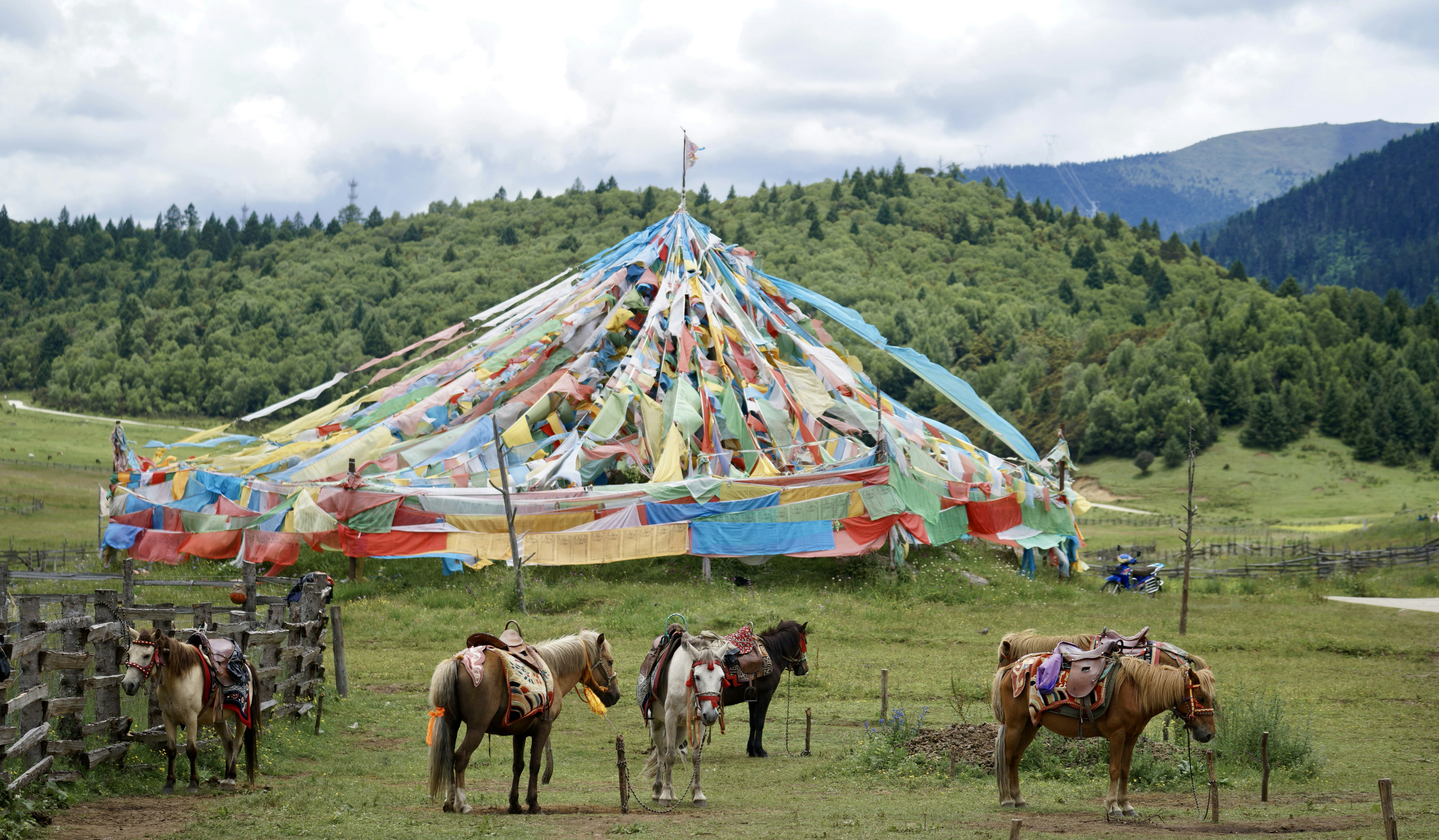 Harmony in Motion: A Tapestry of Tradition and Nature