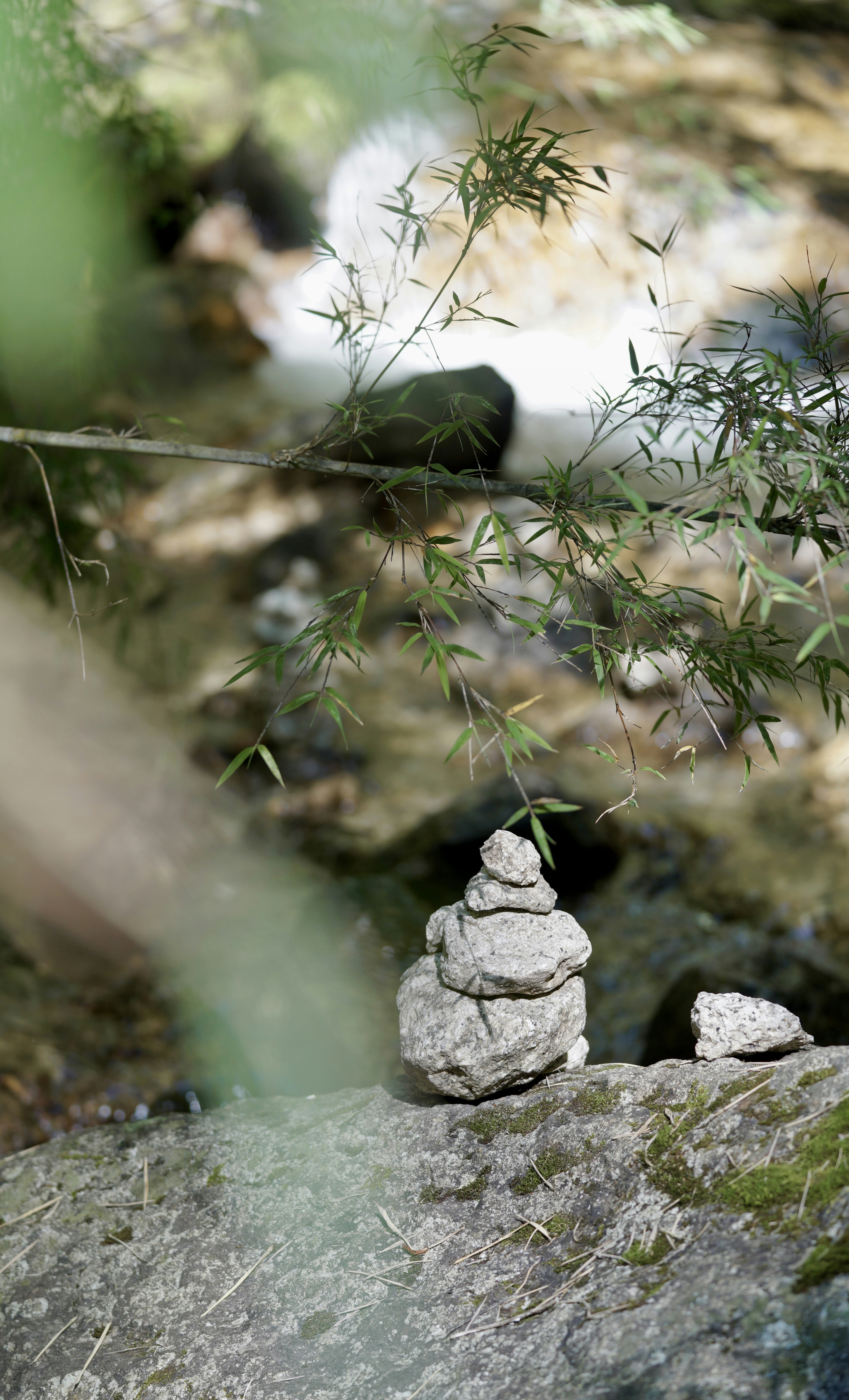 Nature's Tranquil Balance: A Stone Sentinel