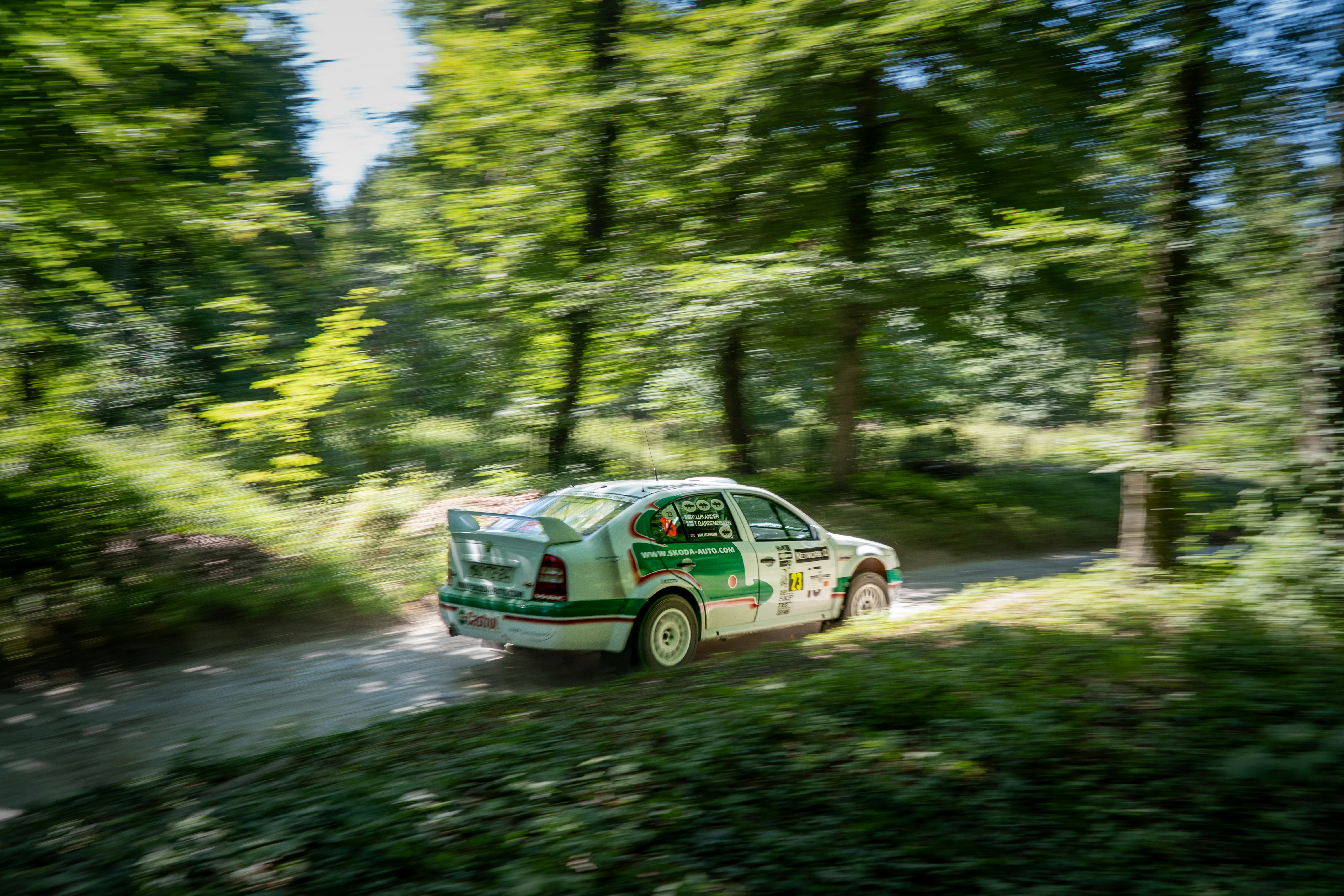 Forest Rally Sprint: Green-White Hatchback Through Sunlit Pines