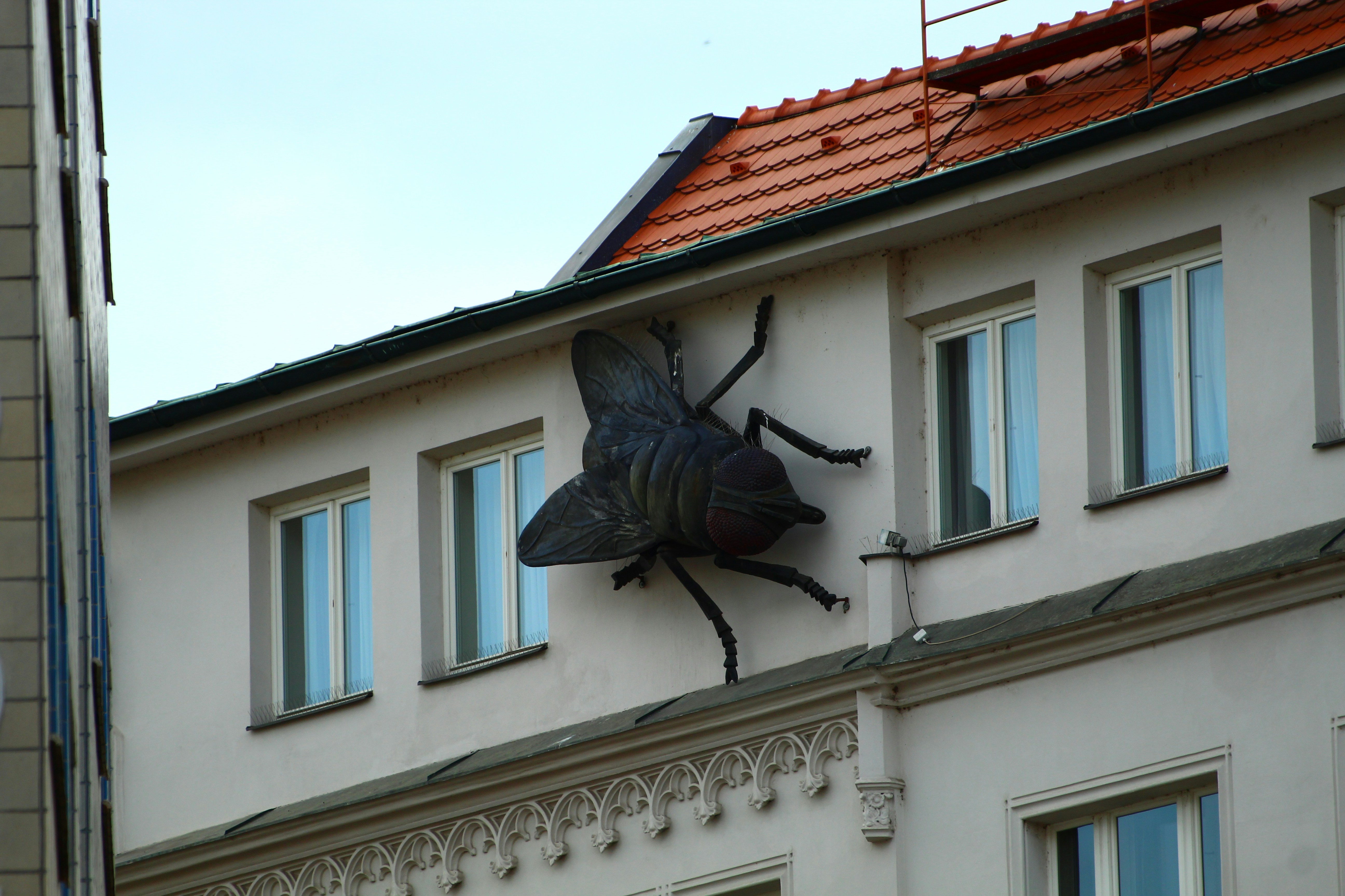 A large, artistic sculpture of a fly protruding from a building's facade, showcasing urban creativity and architectural integration.