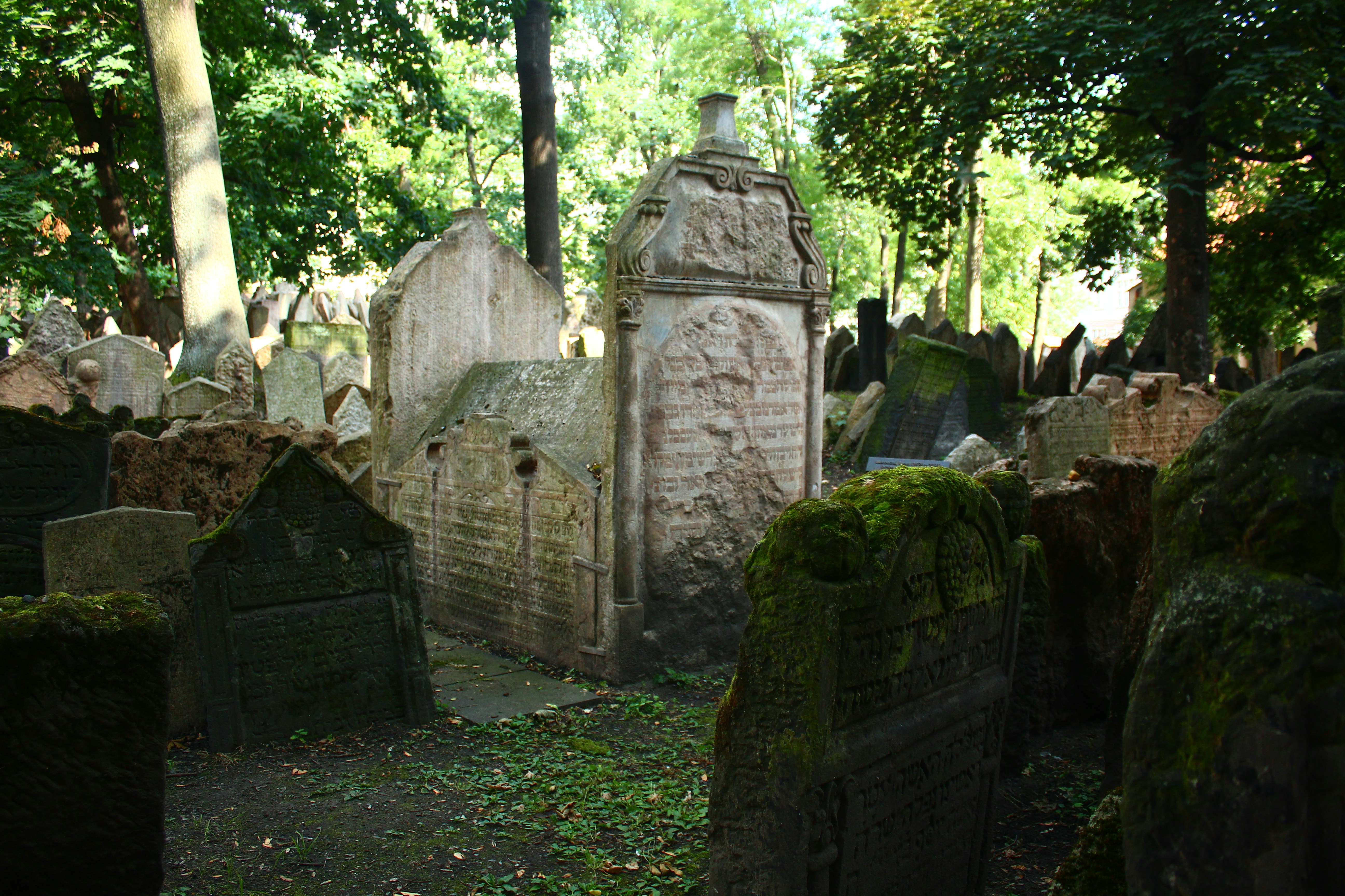 Old weathered gravestones in a mossy, overgrown cemetery