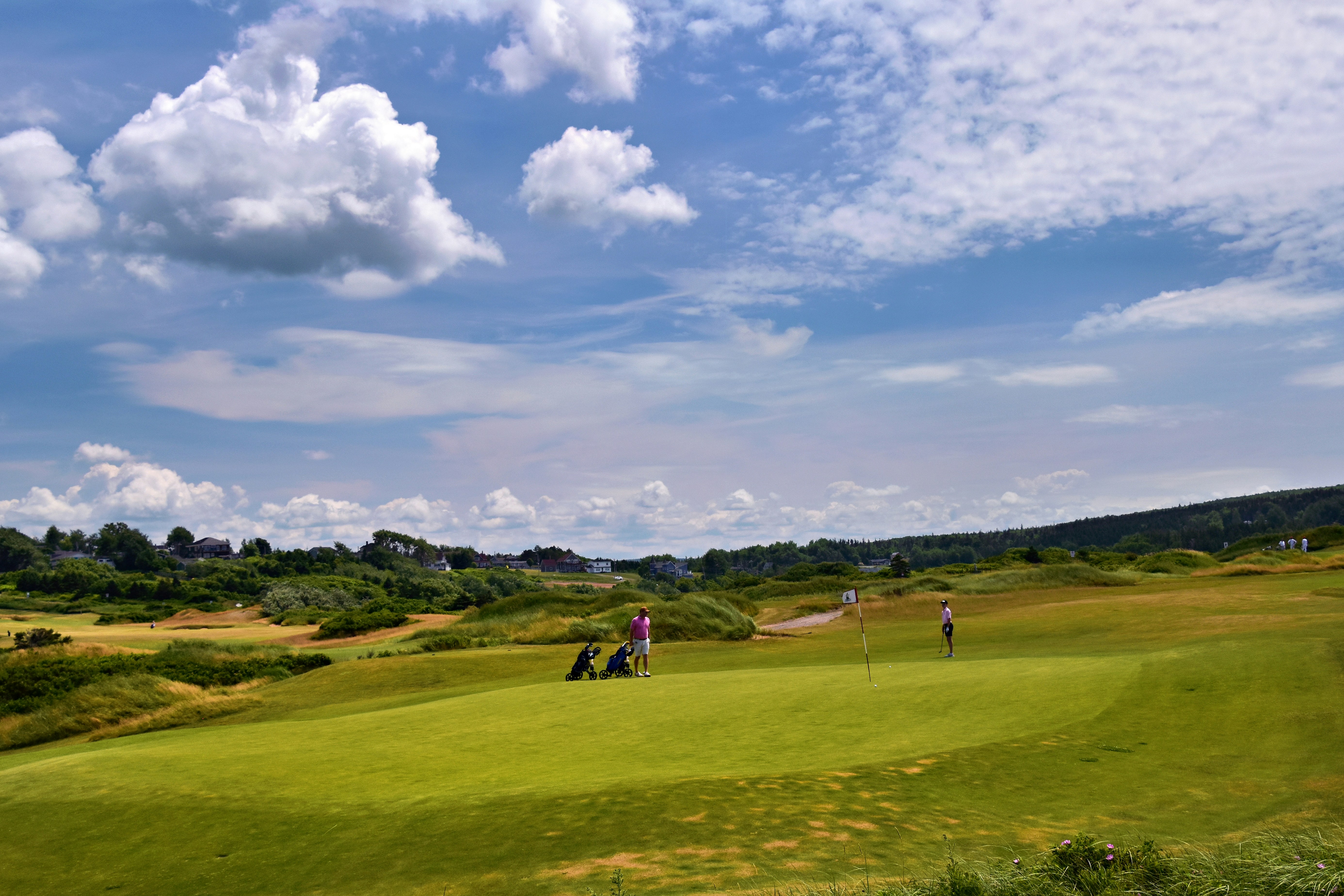 A Day on the Green: Golfers in Harmony with Nature