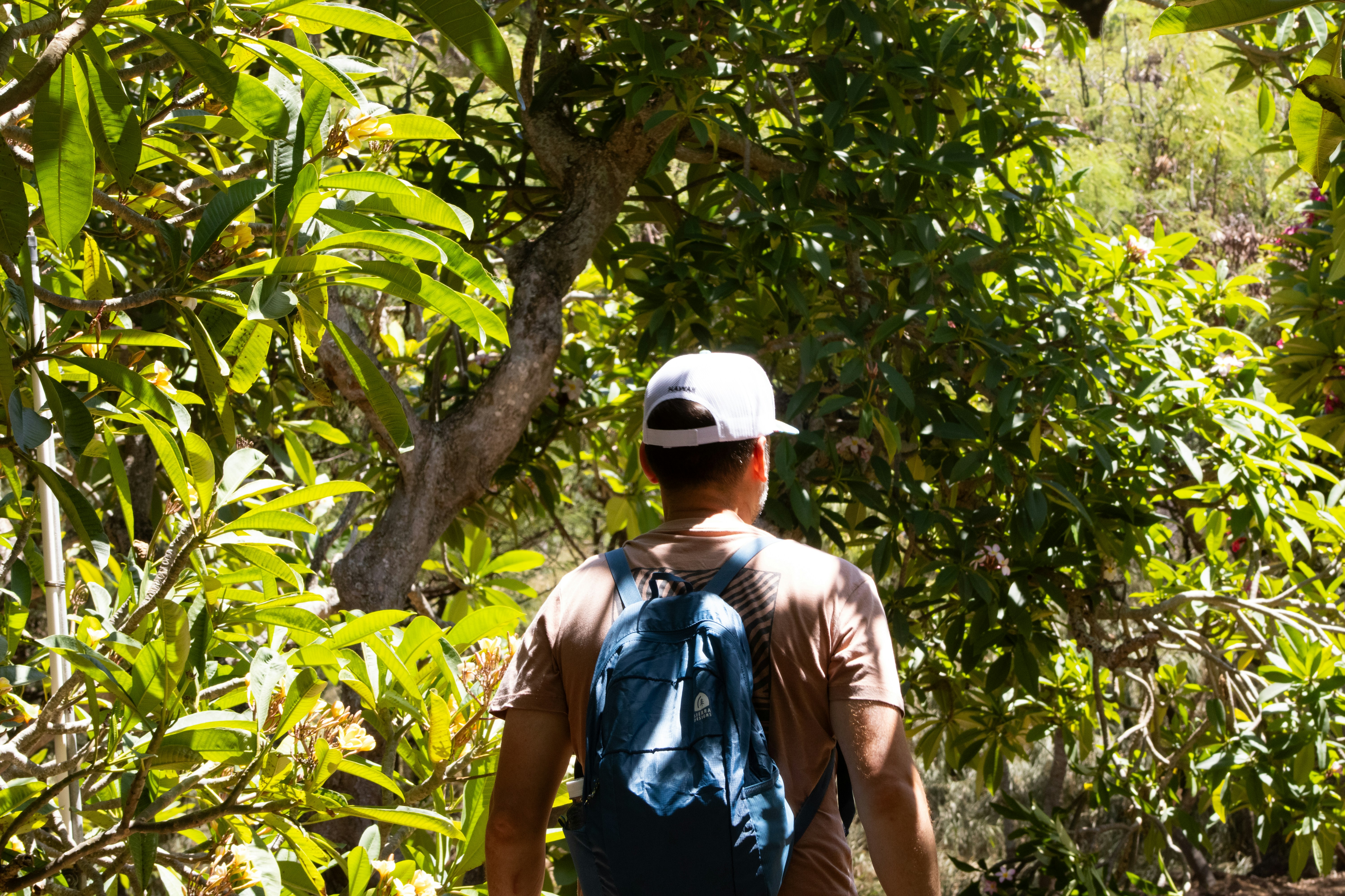 Man with backpack walking through lush green forest.