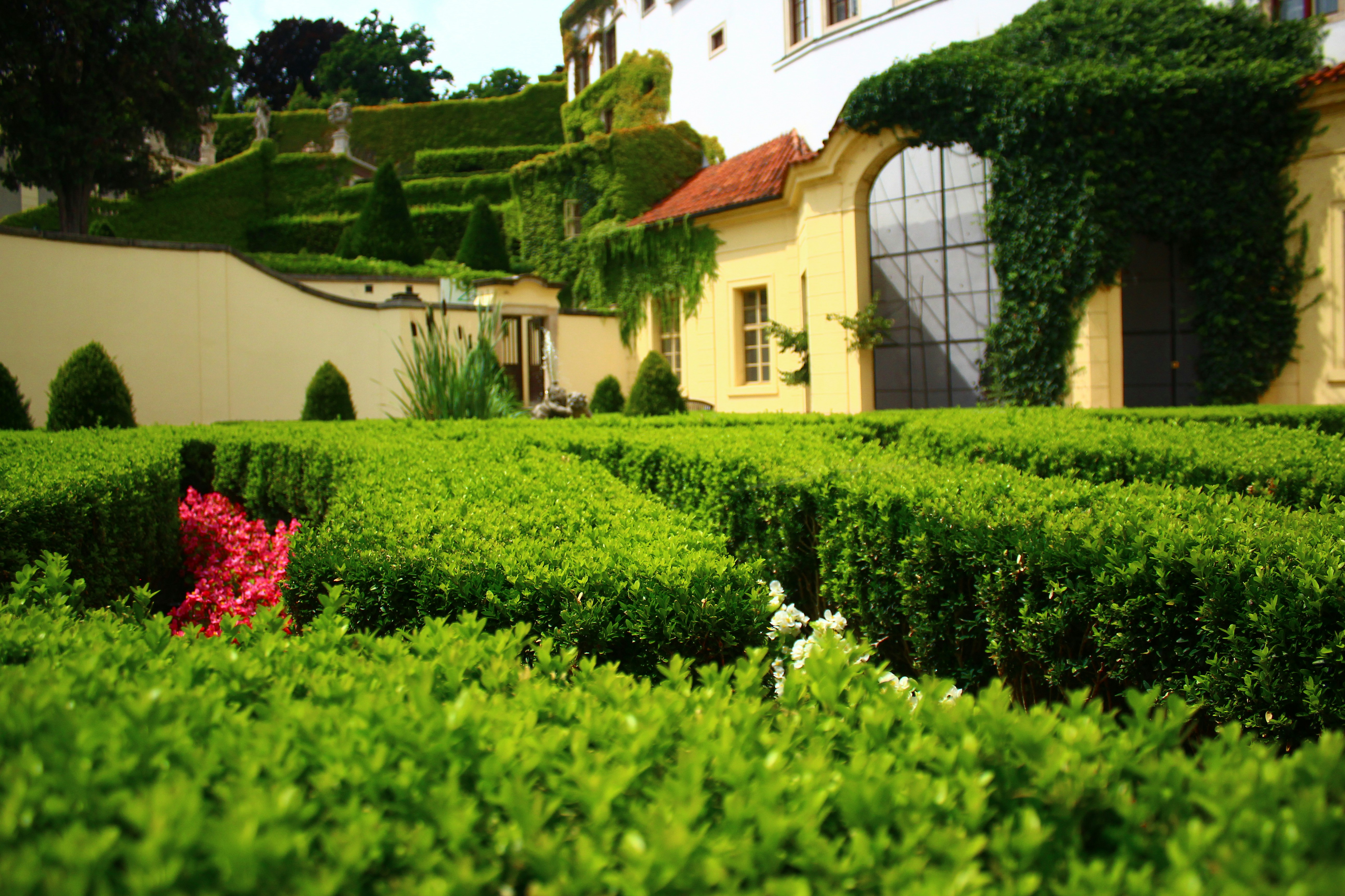 Verdant Labyrinth of Serenity