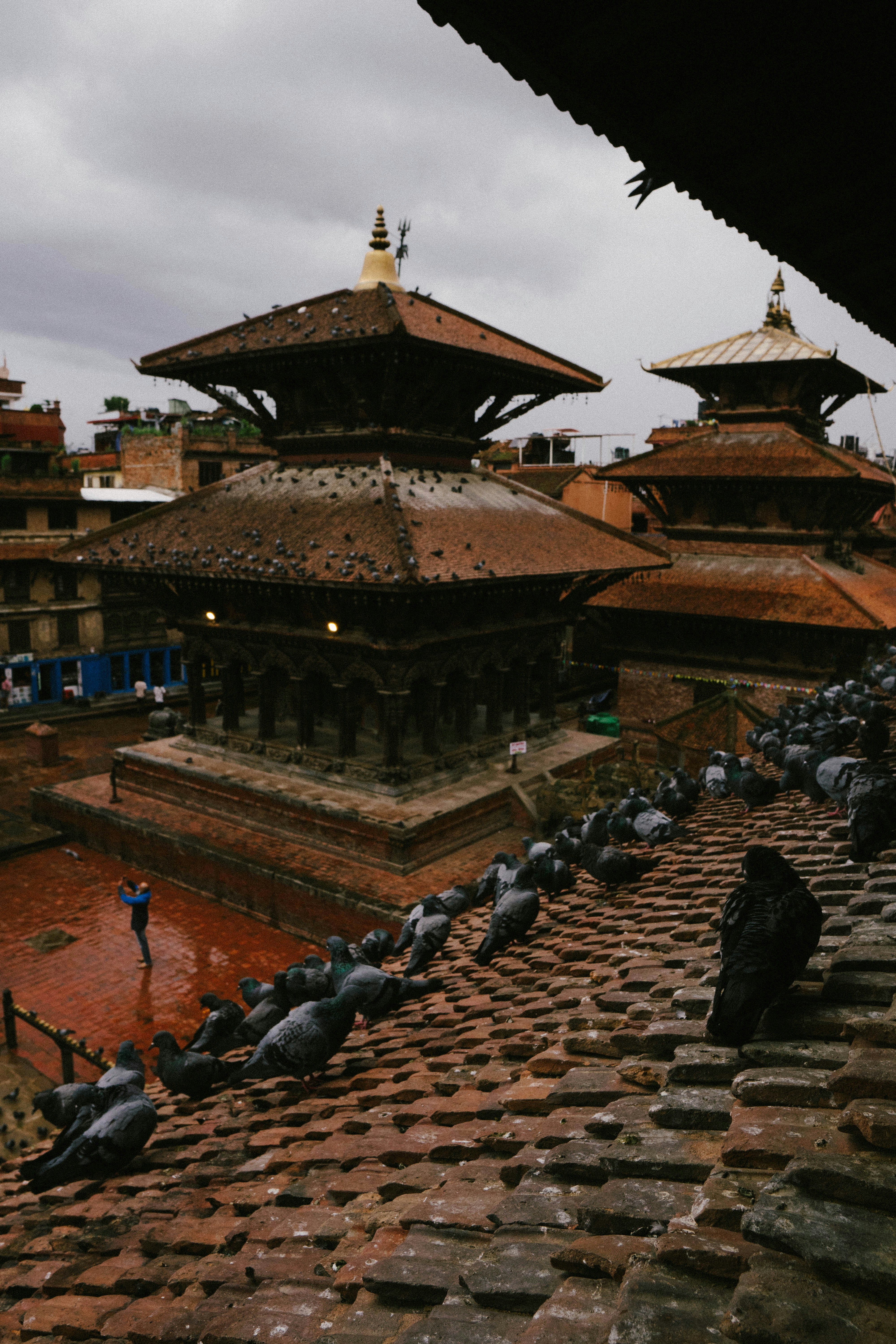 Pigeons resting on a tiled rooftop overlooking ancient temples in a bustling square. The scene captures a blend of urban life and historical architecture.