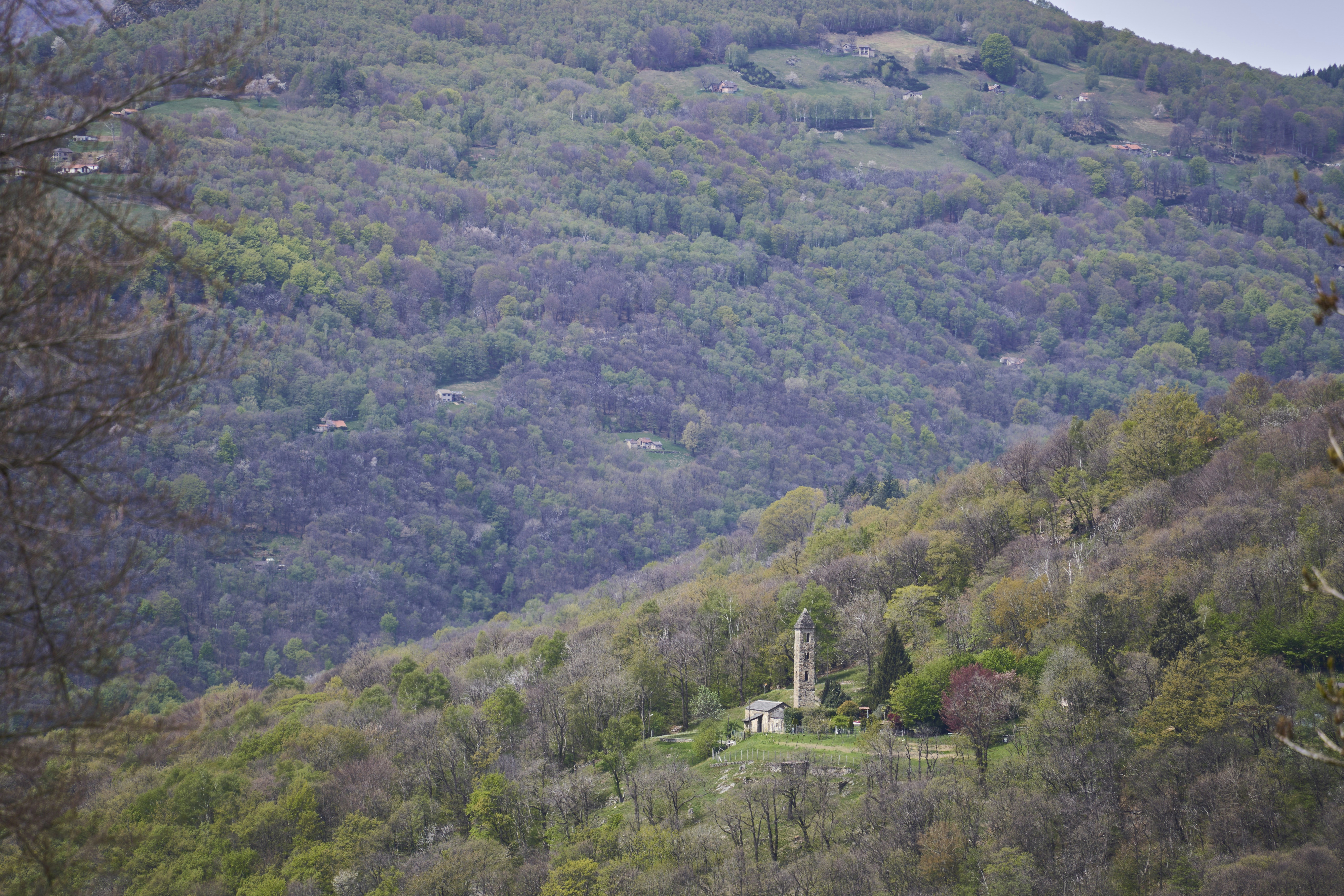 Small church nestled on a tree-covered mountainside.