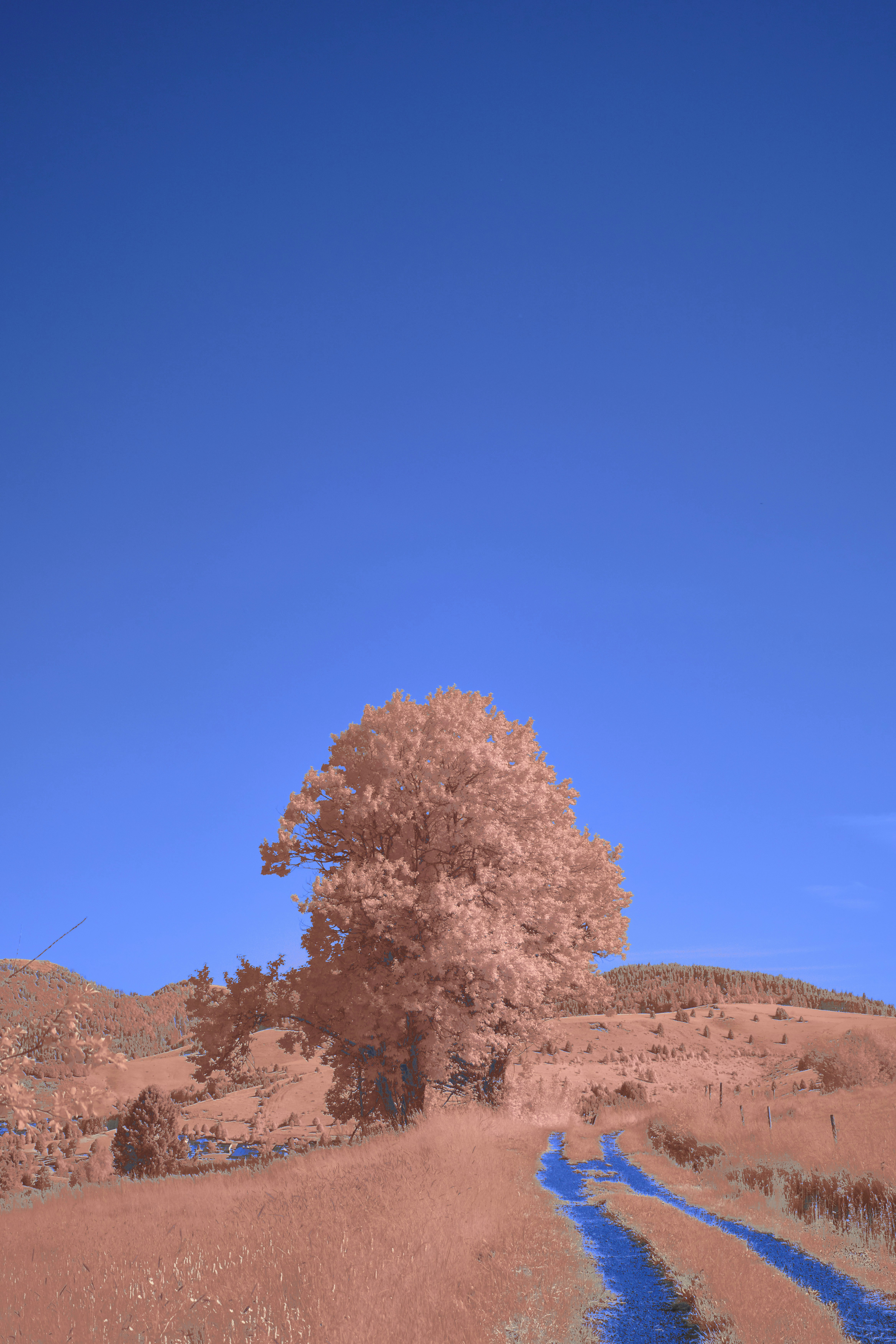 Whispers of an Infrared Landscape