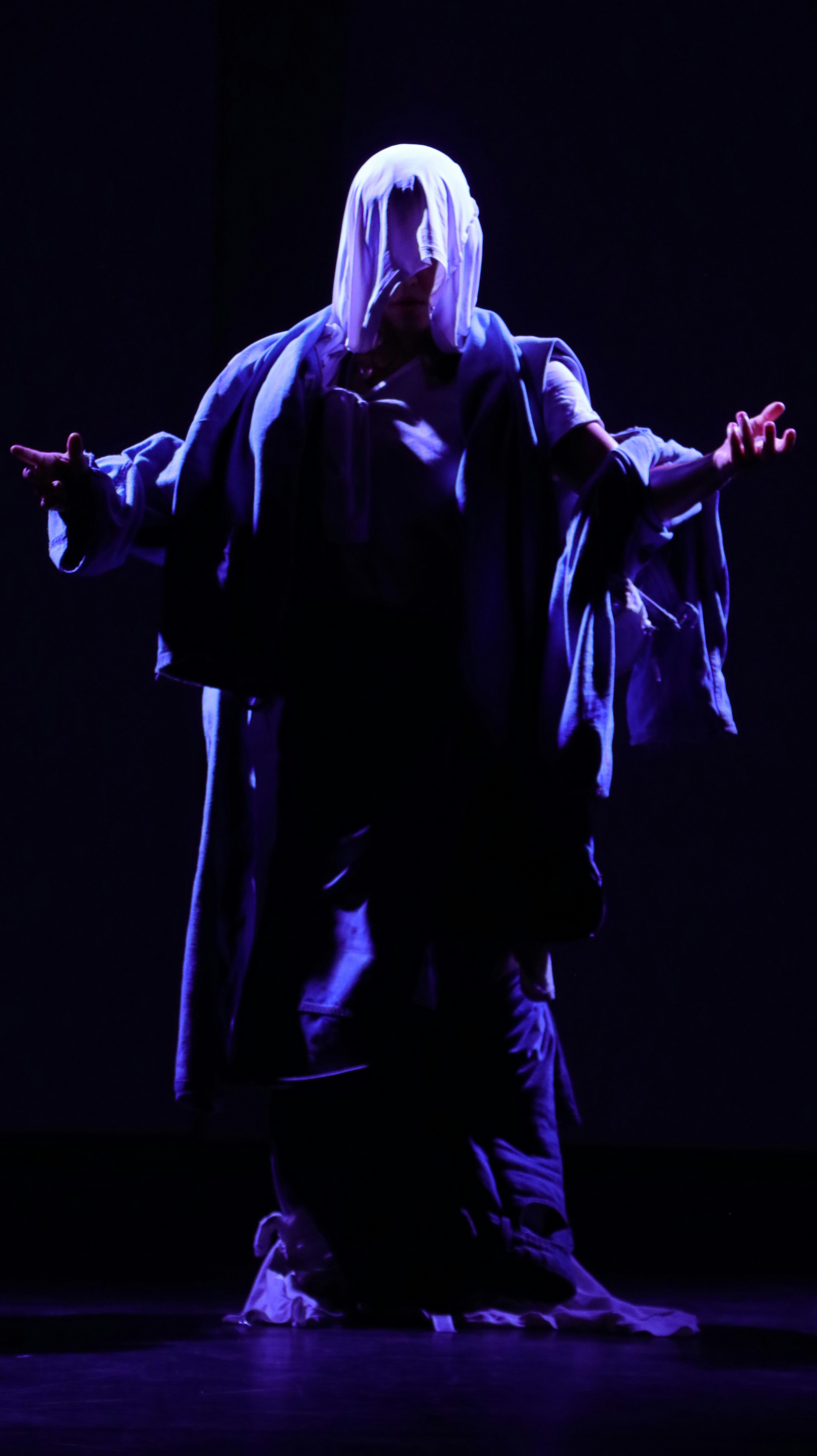 Veiled Shadows: The Dance of Mystery