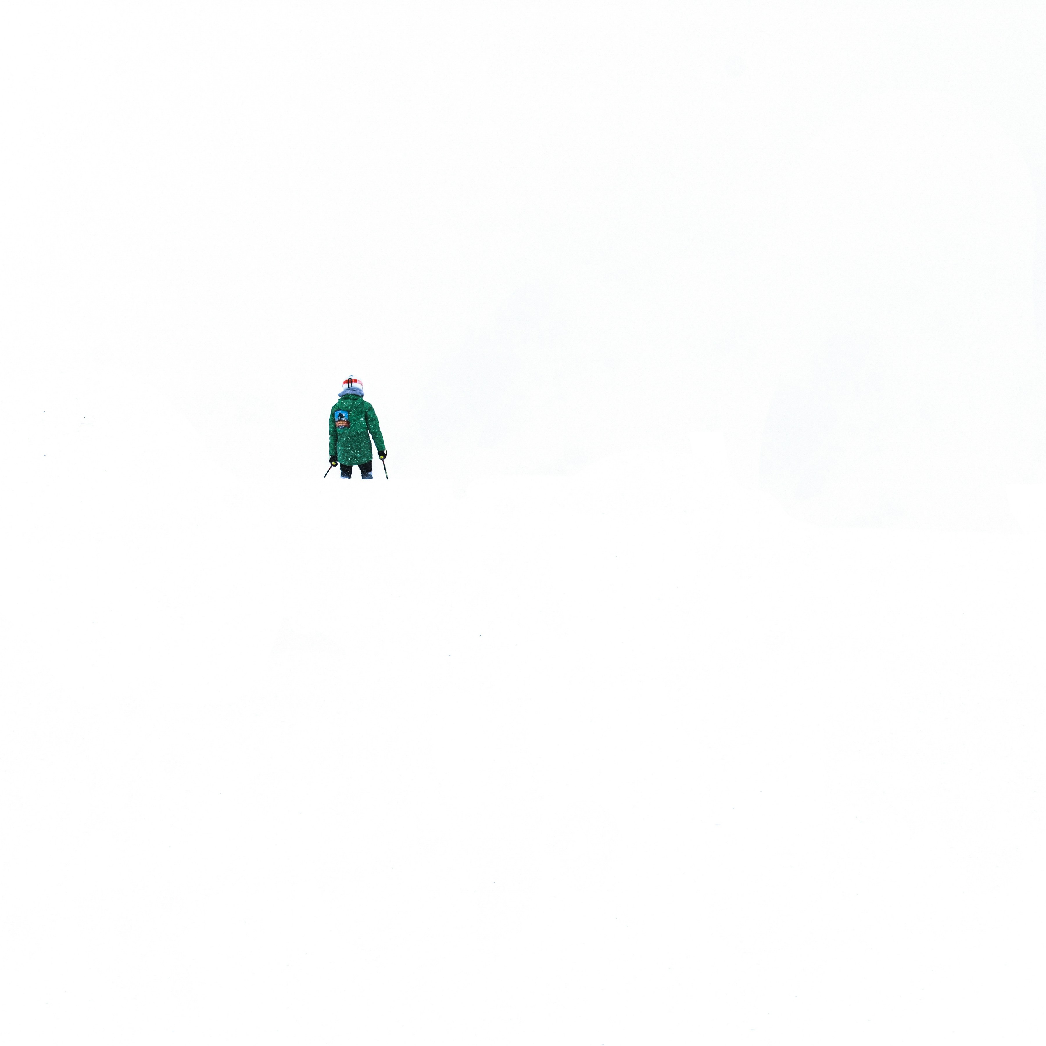 Solitary Trekker in a Sea of White