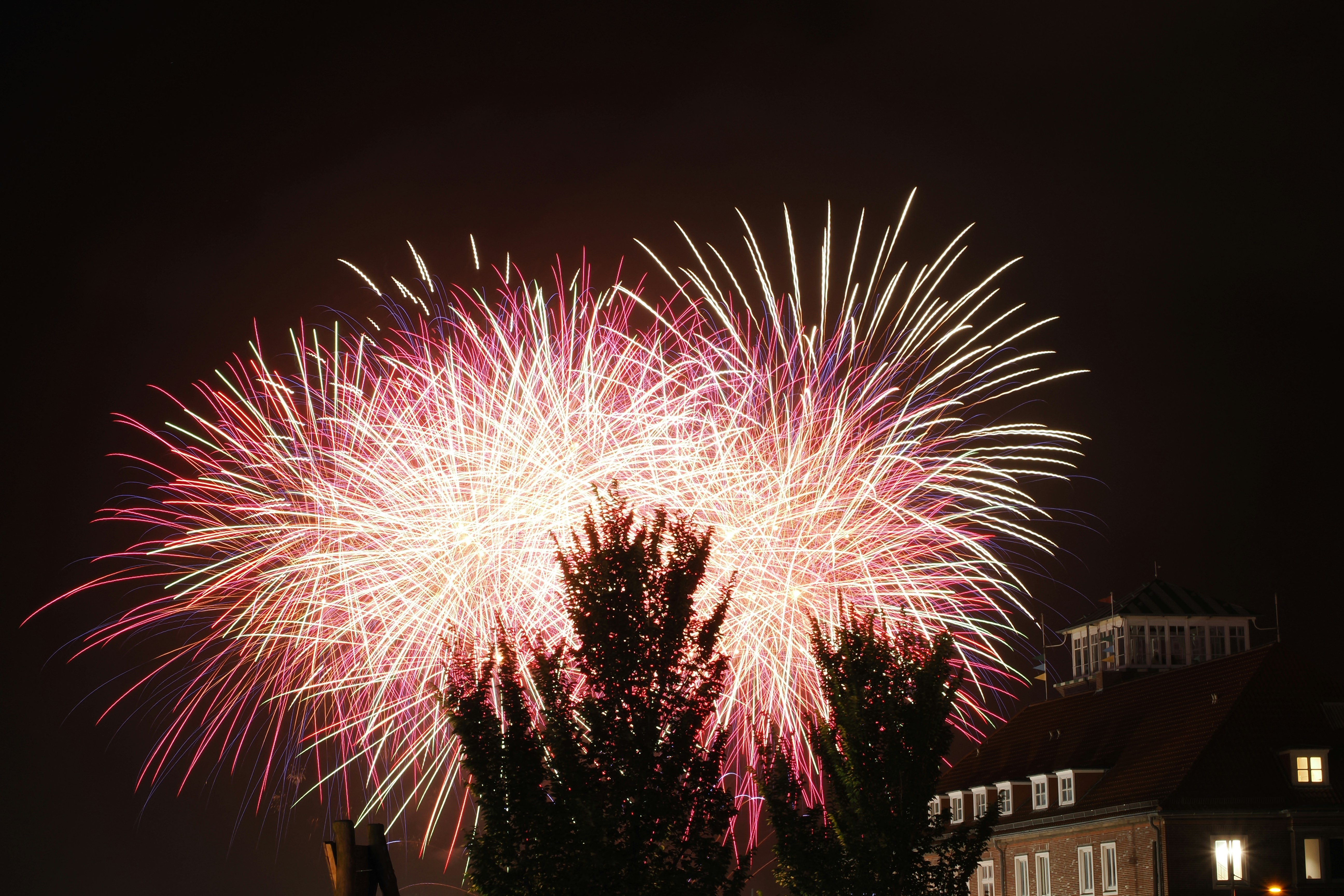 Vibrant fireworks burst in a dazzling display above silhouetted trees and a historic building, illuminating the night sky.