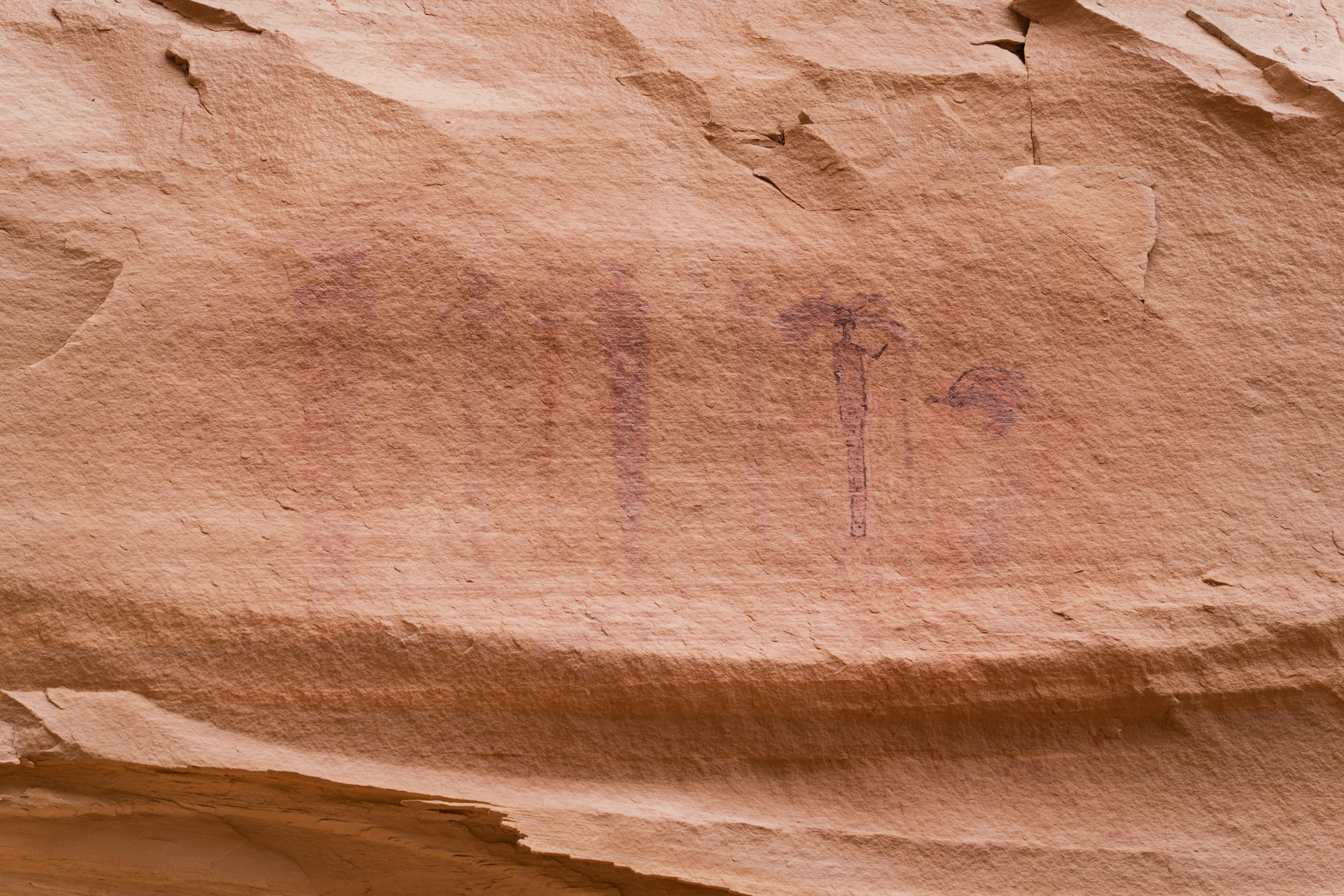 Photo by Alex Moliski with Sony Alpha 7R V