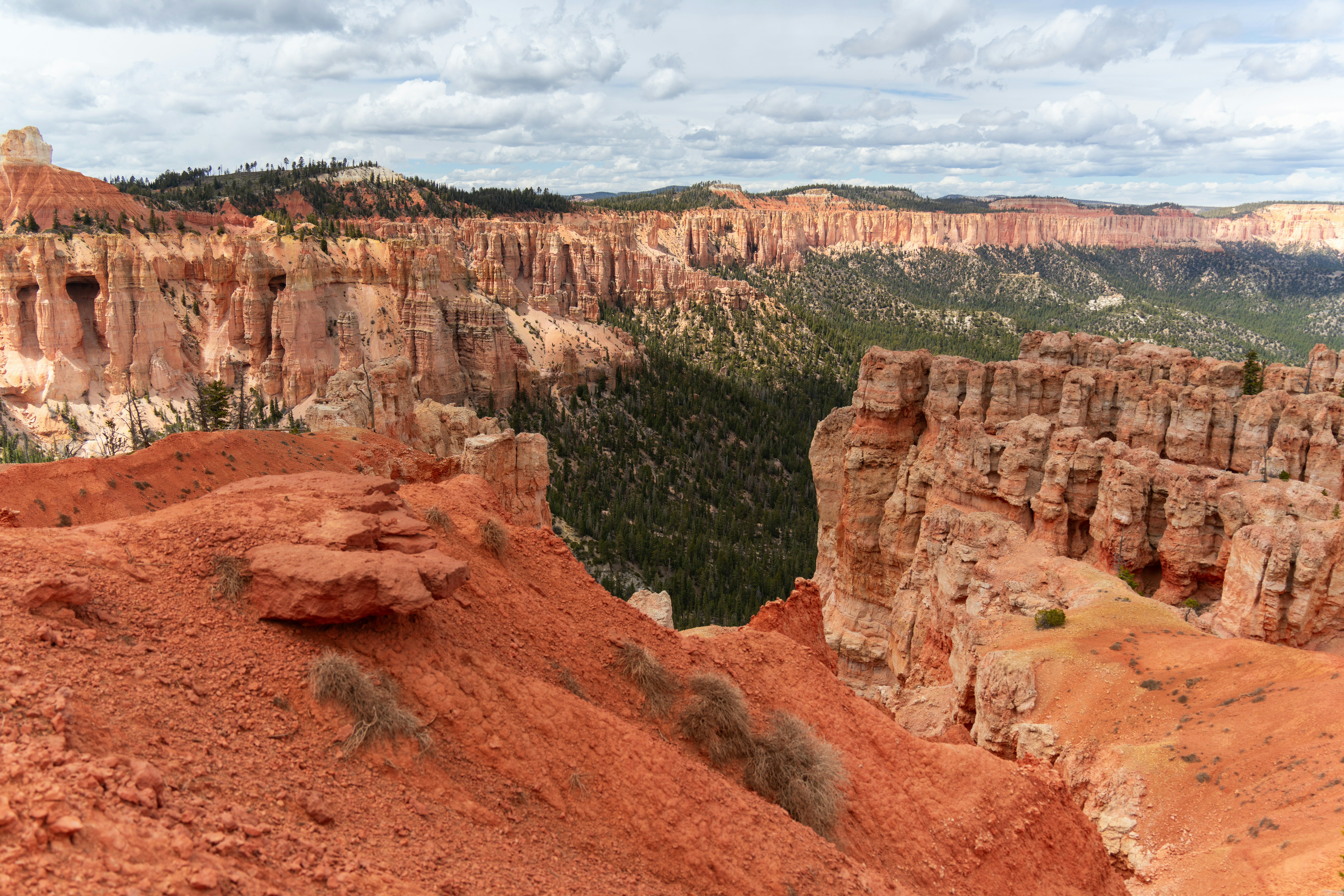 Photo by Alex Moliski with Sony Alpha 7R V