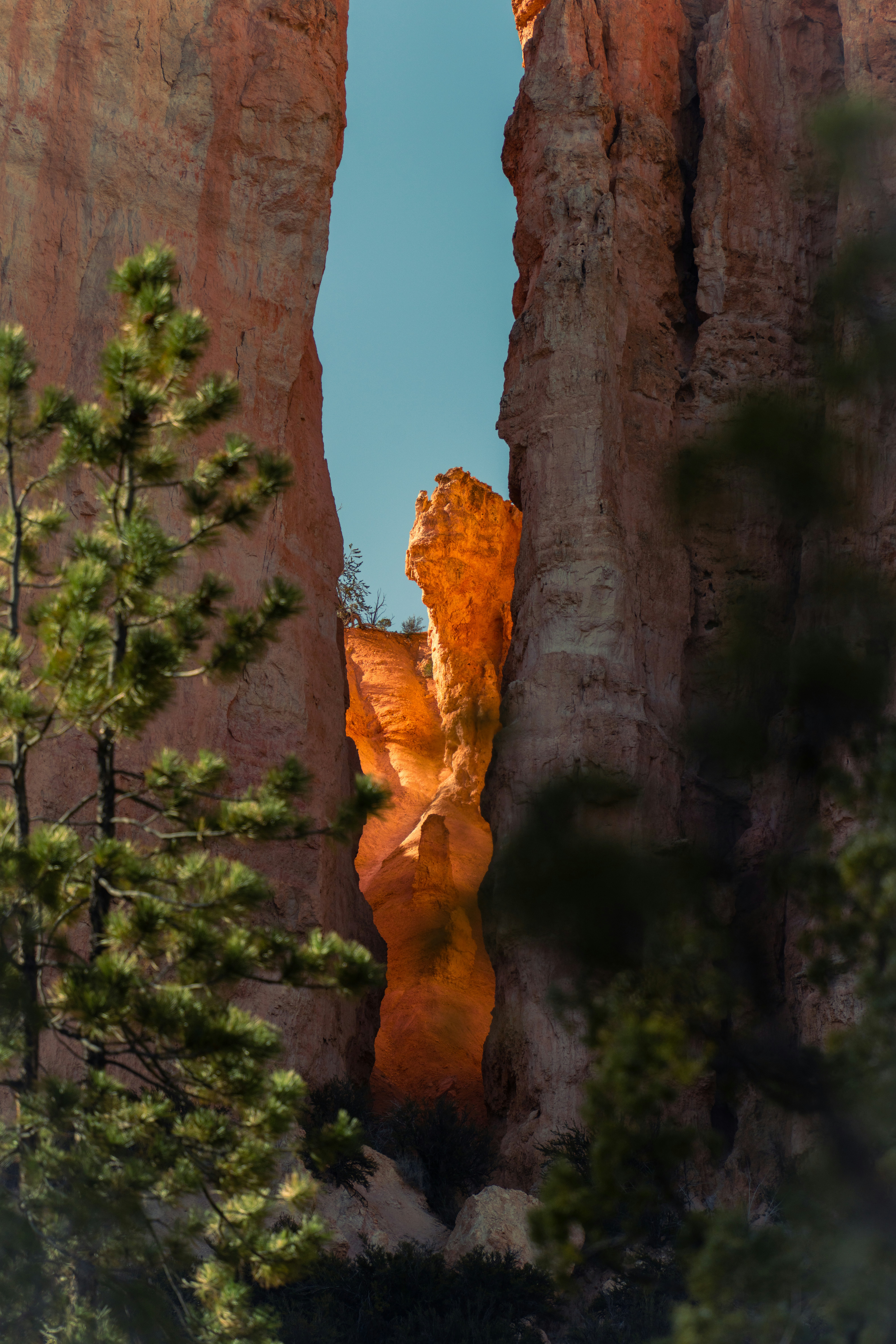 Whispers of the Earth: A Canyon's Glow