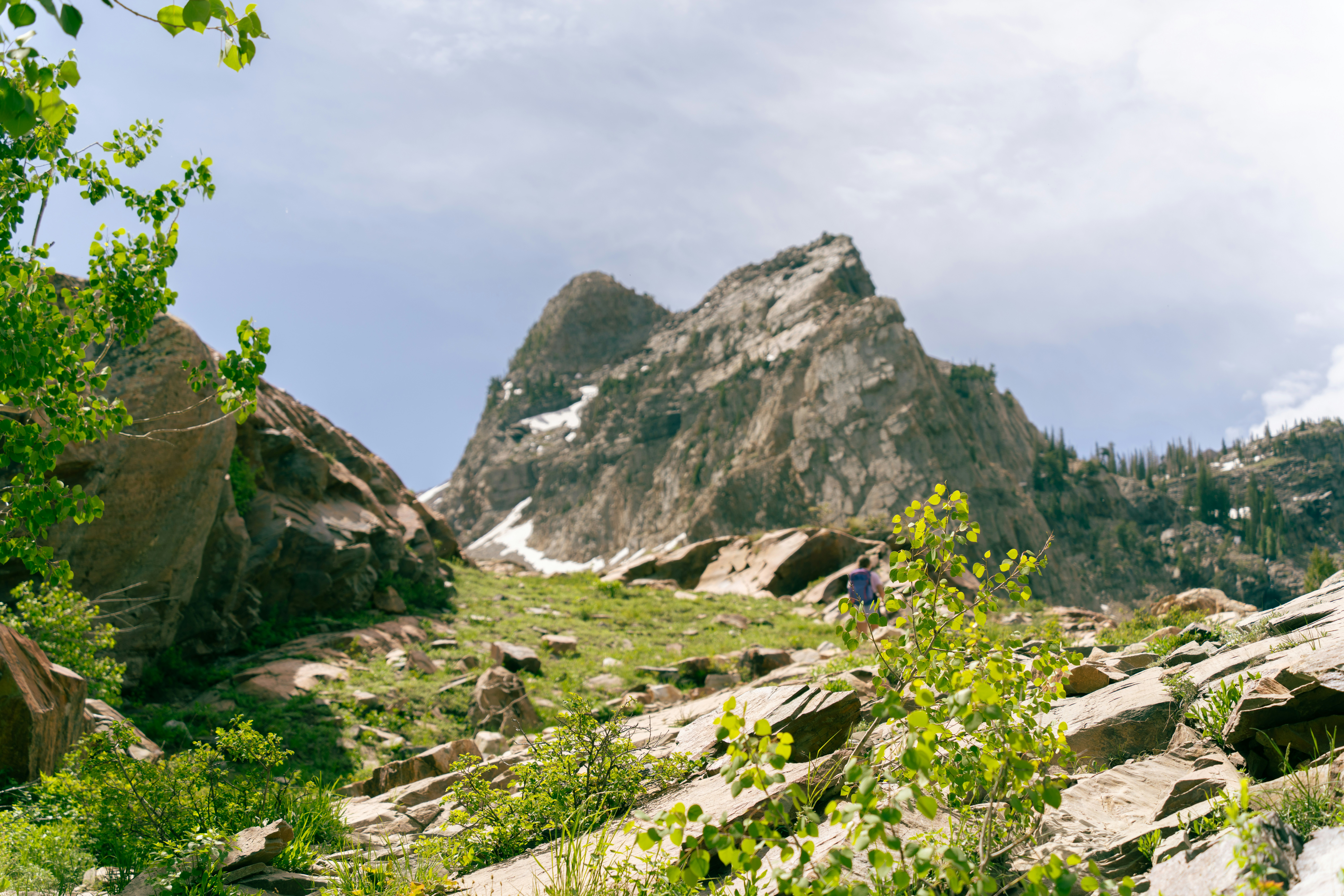 Jagged mountain peak with patches of snow and green foliage.