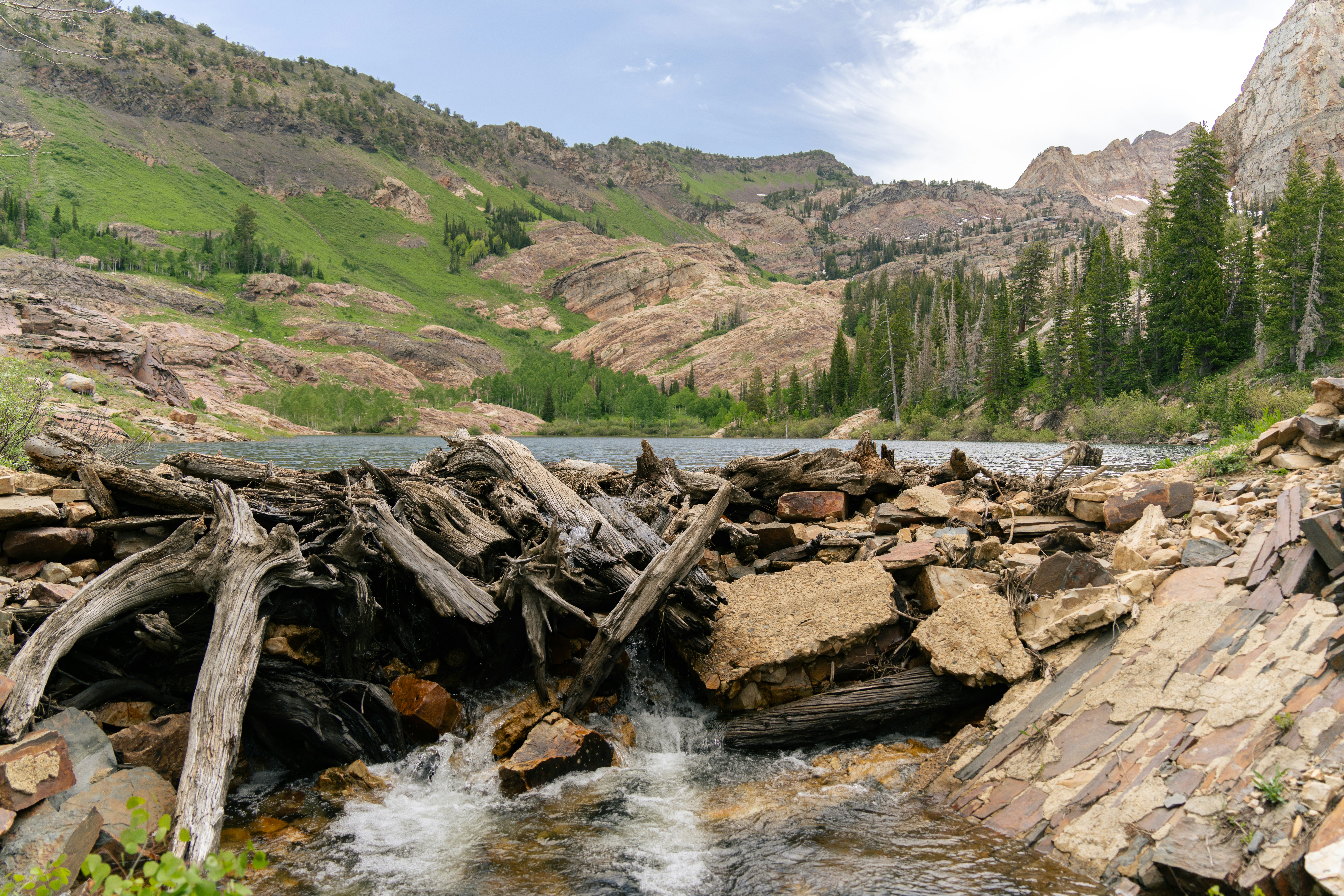 A serene mountain landscape featuring a flowing stream with weathered logs and rocky terrain, framed by lush greenery and rugged peaks.