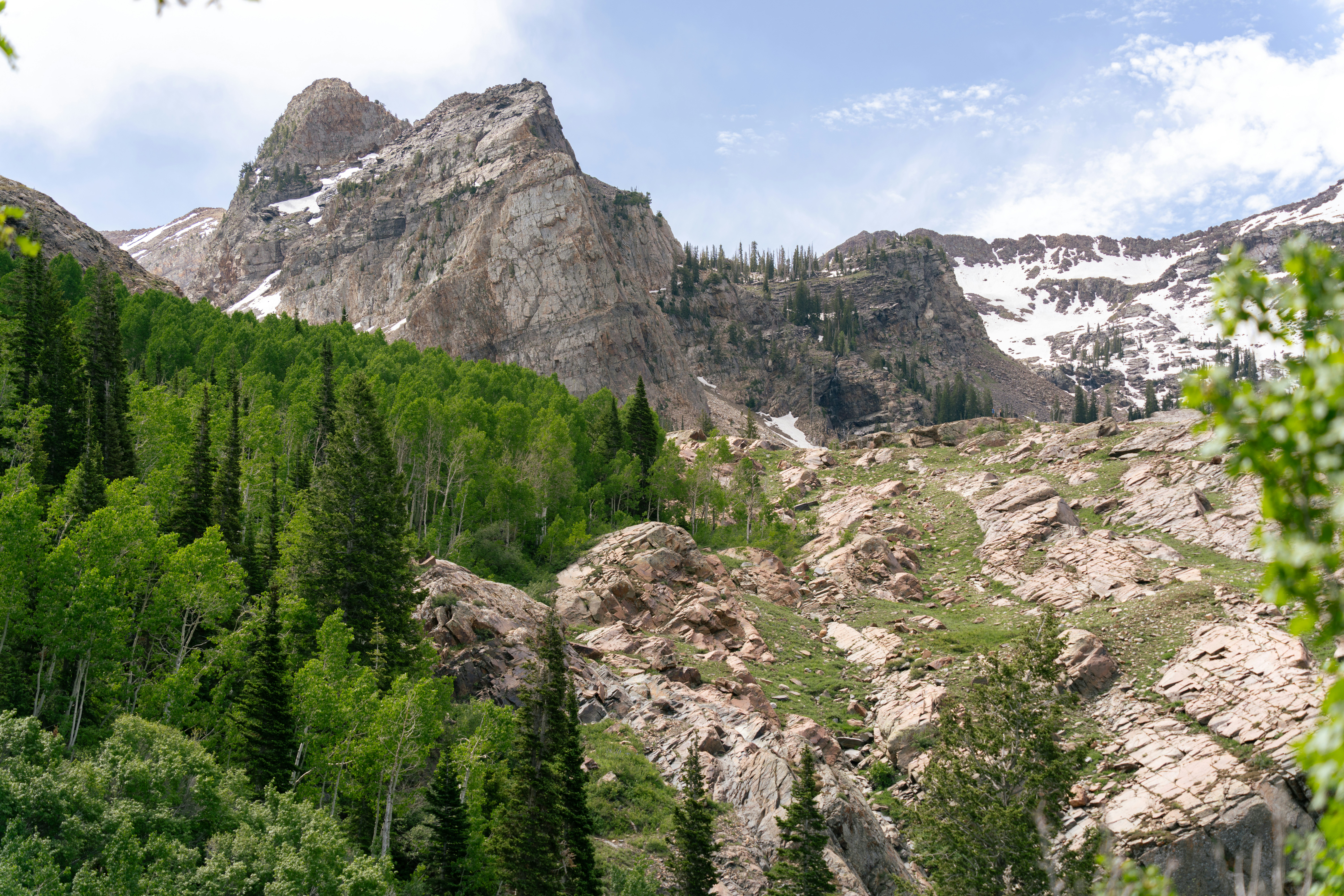 Majestic mountain peak surrounded by lush green forest
