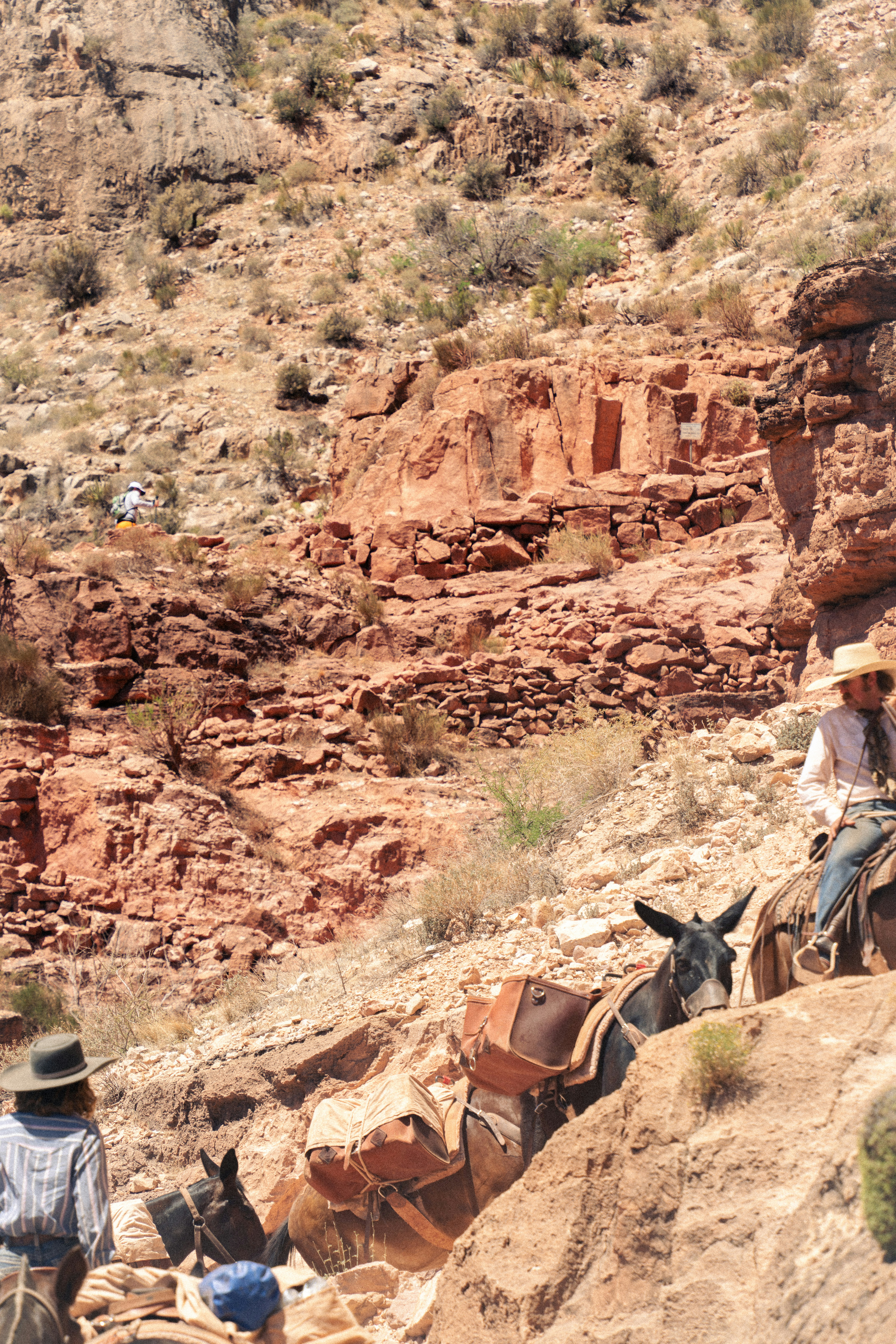 Echoes of Tradition in the Canyon