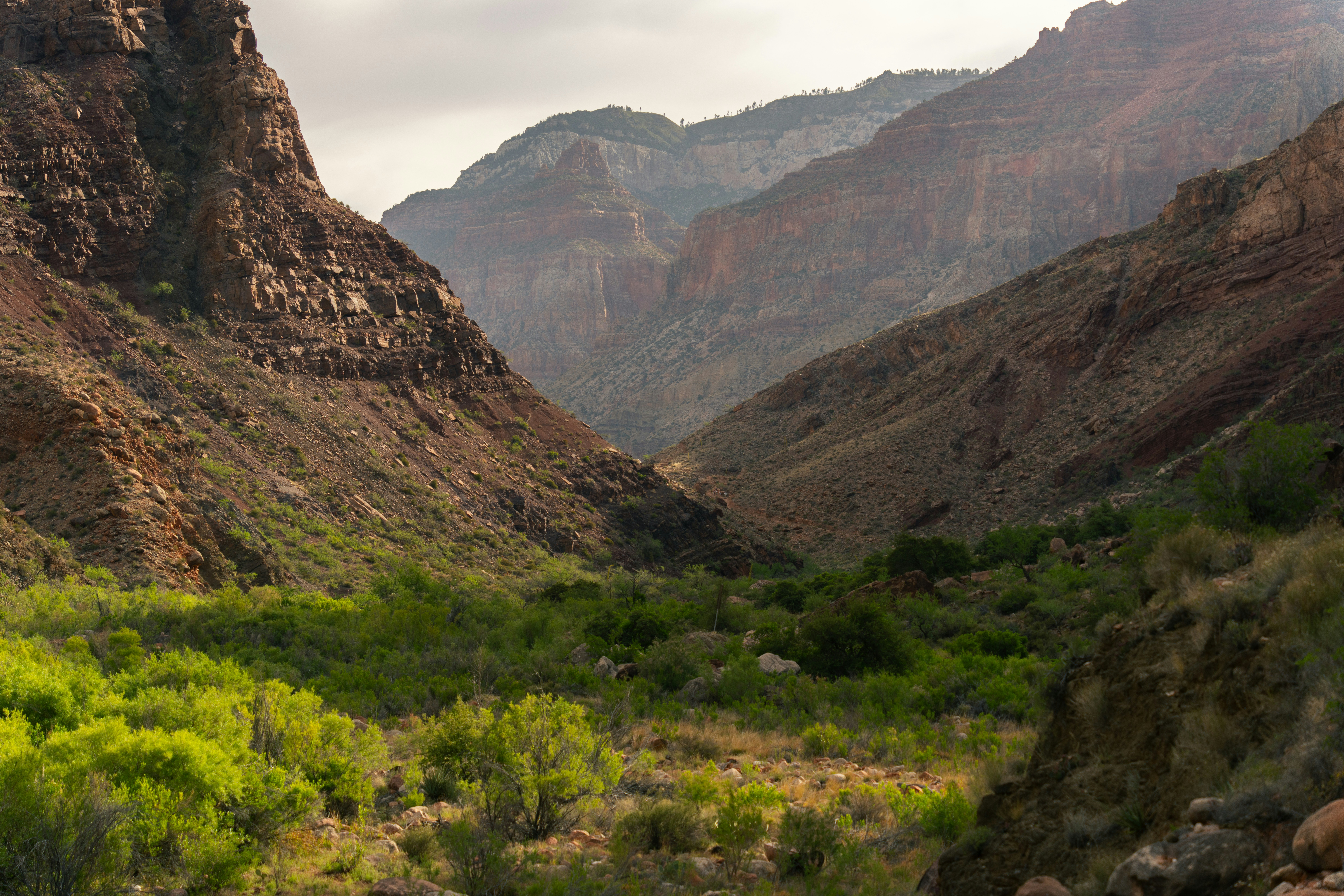Sunlight illuminates a lush green canyon floor.