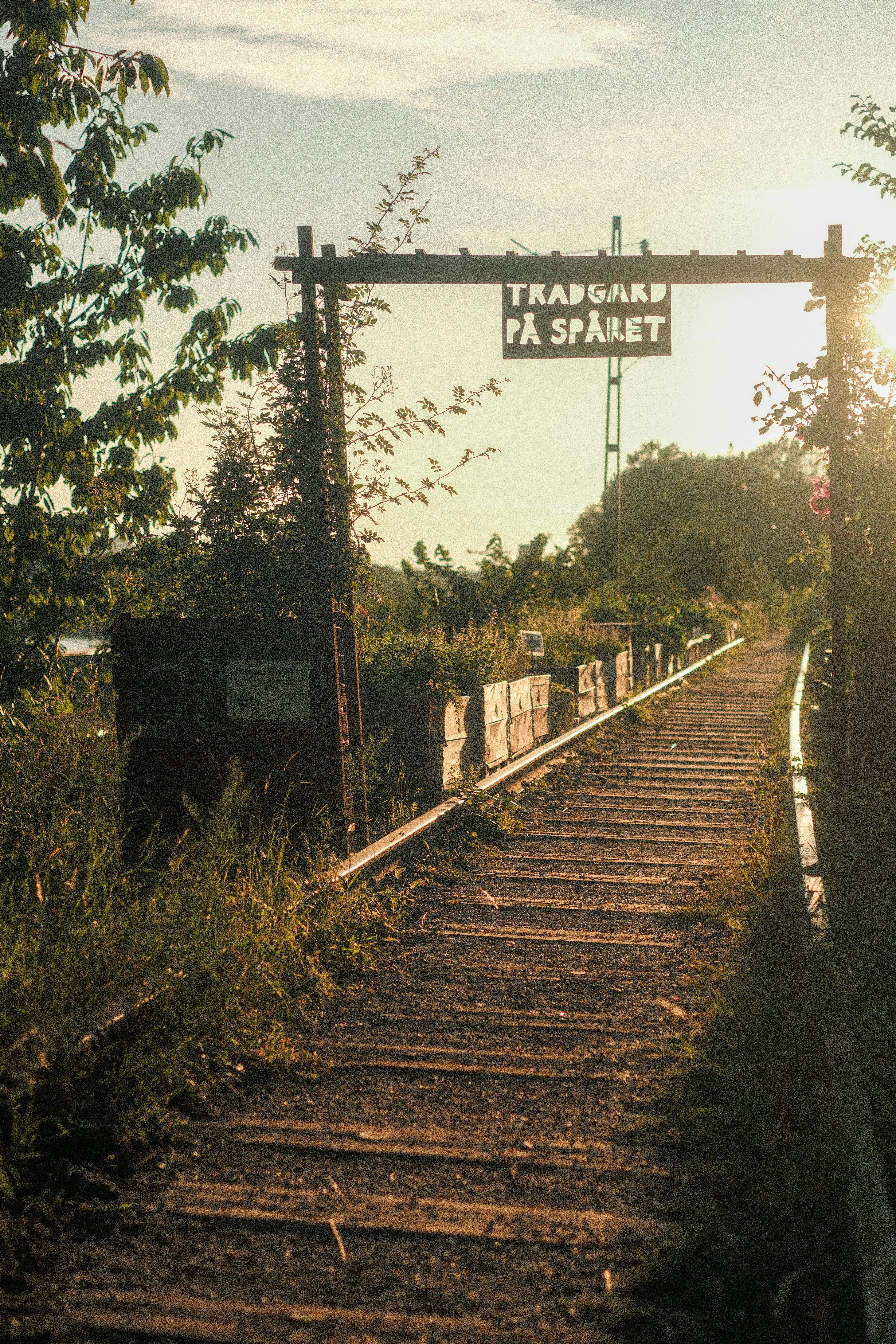 Community garden on an old train line near Tanto, Stockholm, Sweden | Train tracks leading to a garden entrance at sunset